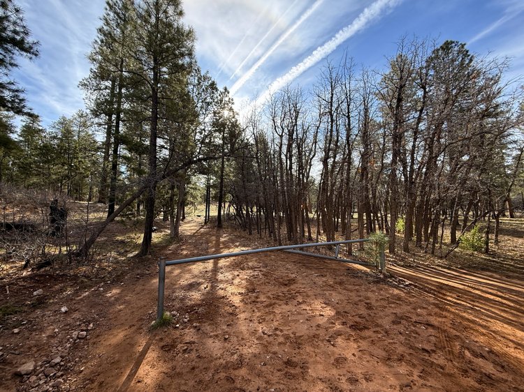 Hiking the Shoshone Point Trail in Grand Canyon National Park — noahawaii