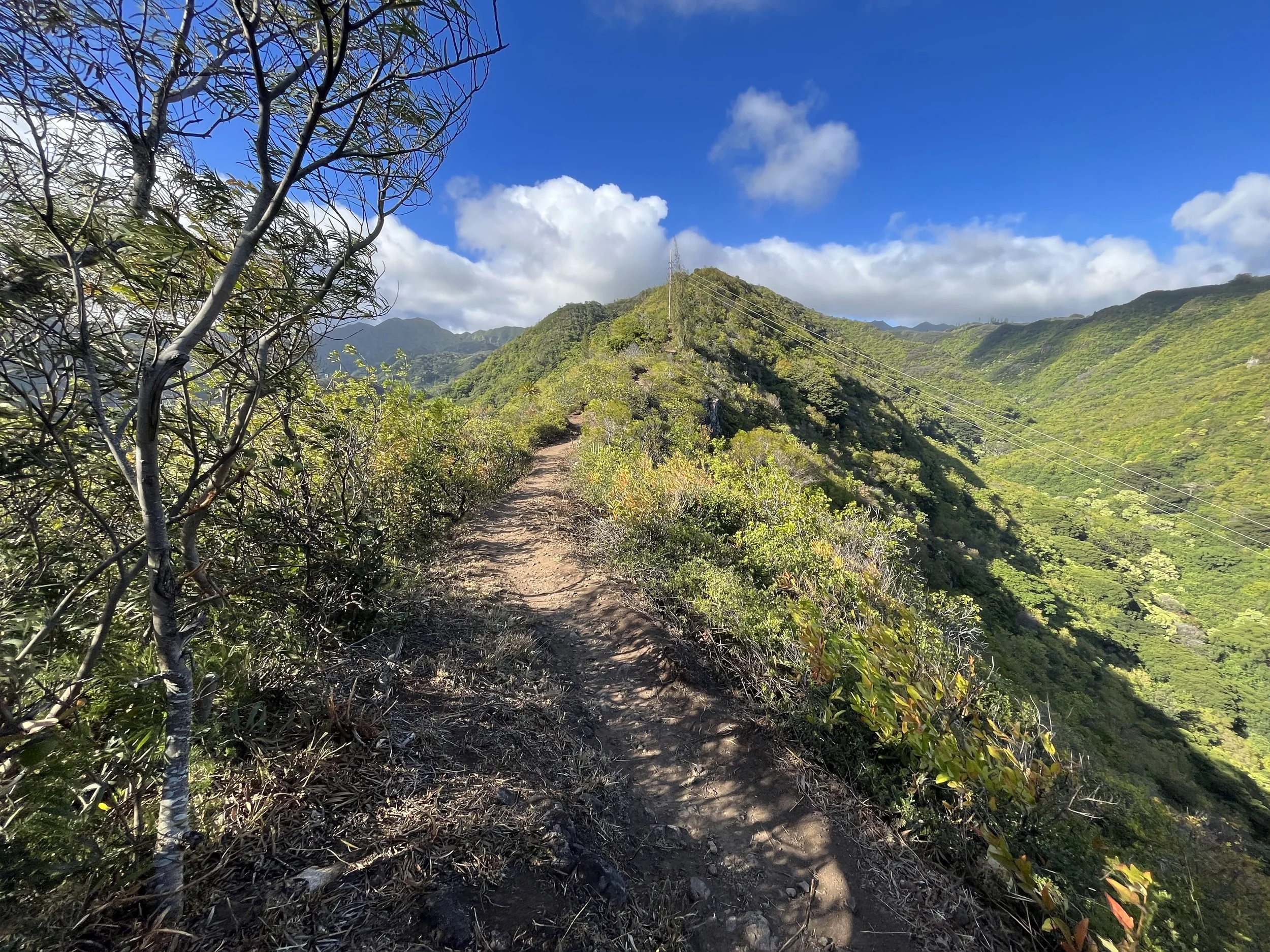 Hiking the Mauʻumae Ridge Trail to Puʻu Lanipō on Oʻahu — noahawaii