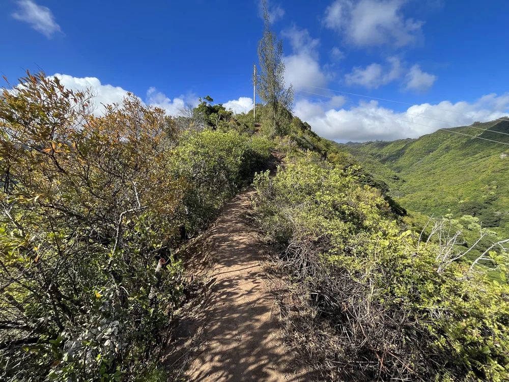 Hiking the Mauʻumae Ridge Trail to Puʻu Lanipō on Oʻahu, Hawaiʻi ...