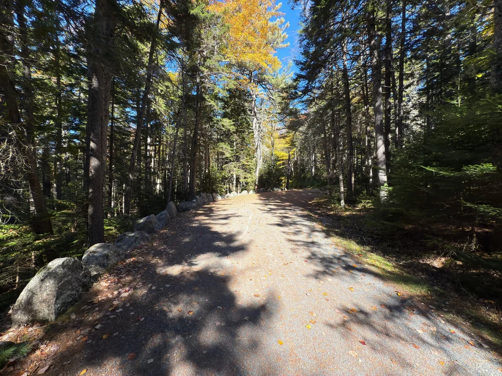 Hiking Cedar Swamp Mountain via Sargent South Ridge Trail in Acadia ...