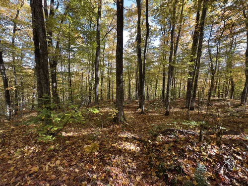 Hiking the Little Moose Pond Loop Trail in Greenville, Maine — noahawaii