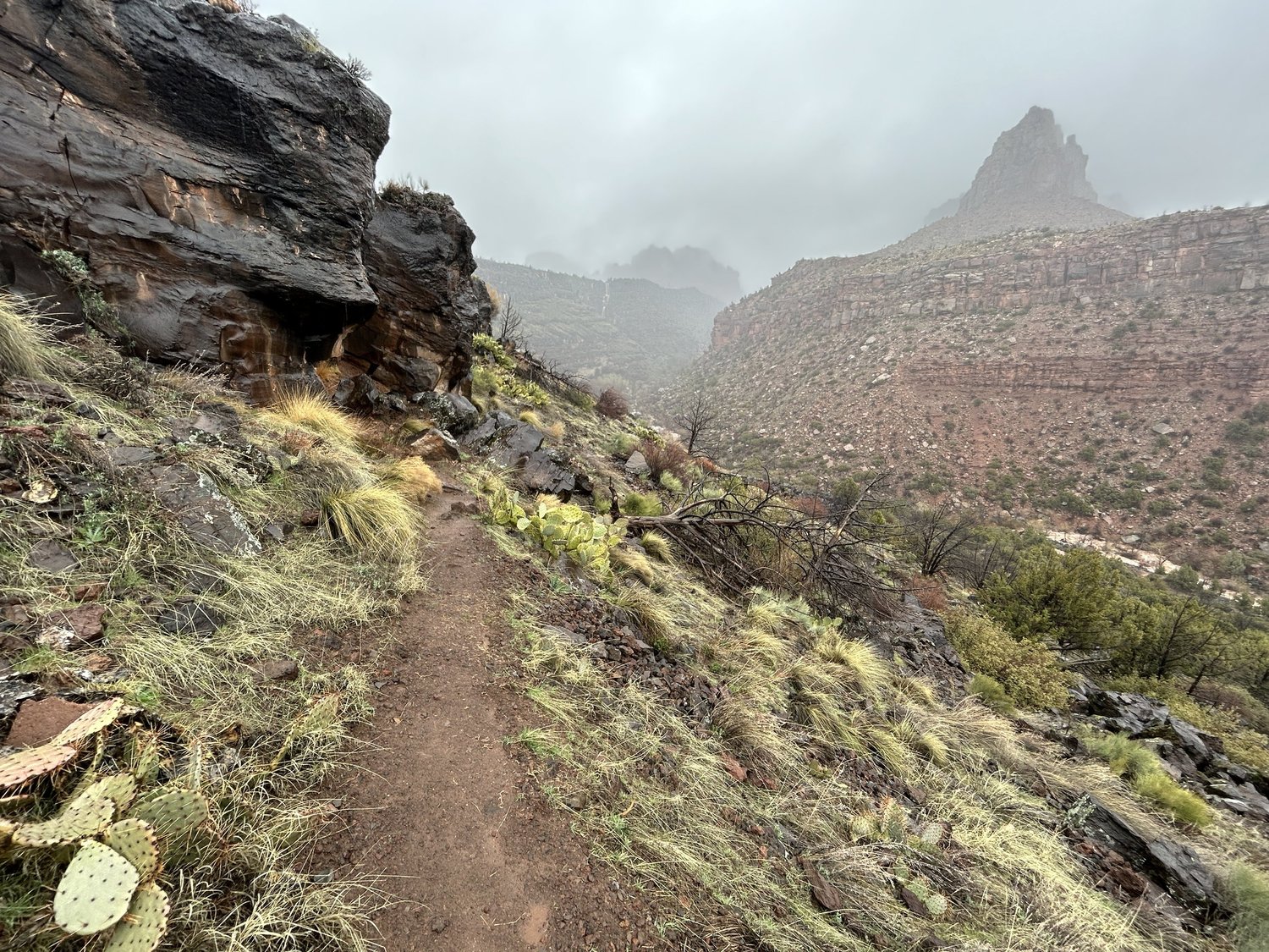 Hiking the Grapevine Trail to Left Fork Falls in Zion National Park ...