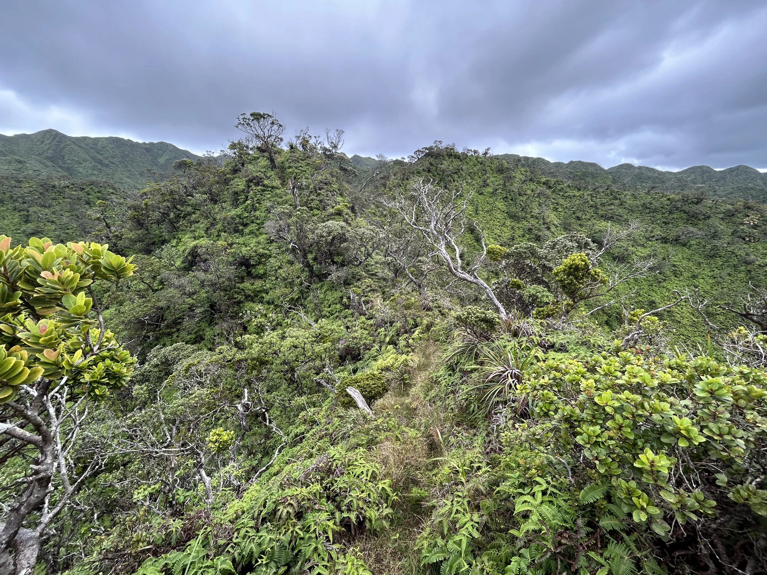 Hiking the Mānana Ridge Trail on Oʻahu — noahawaii