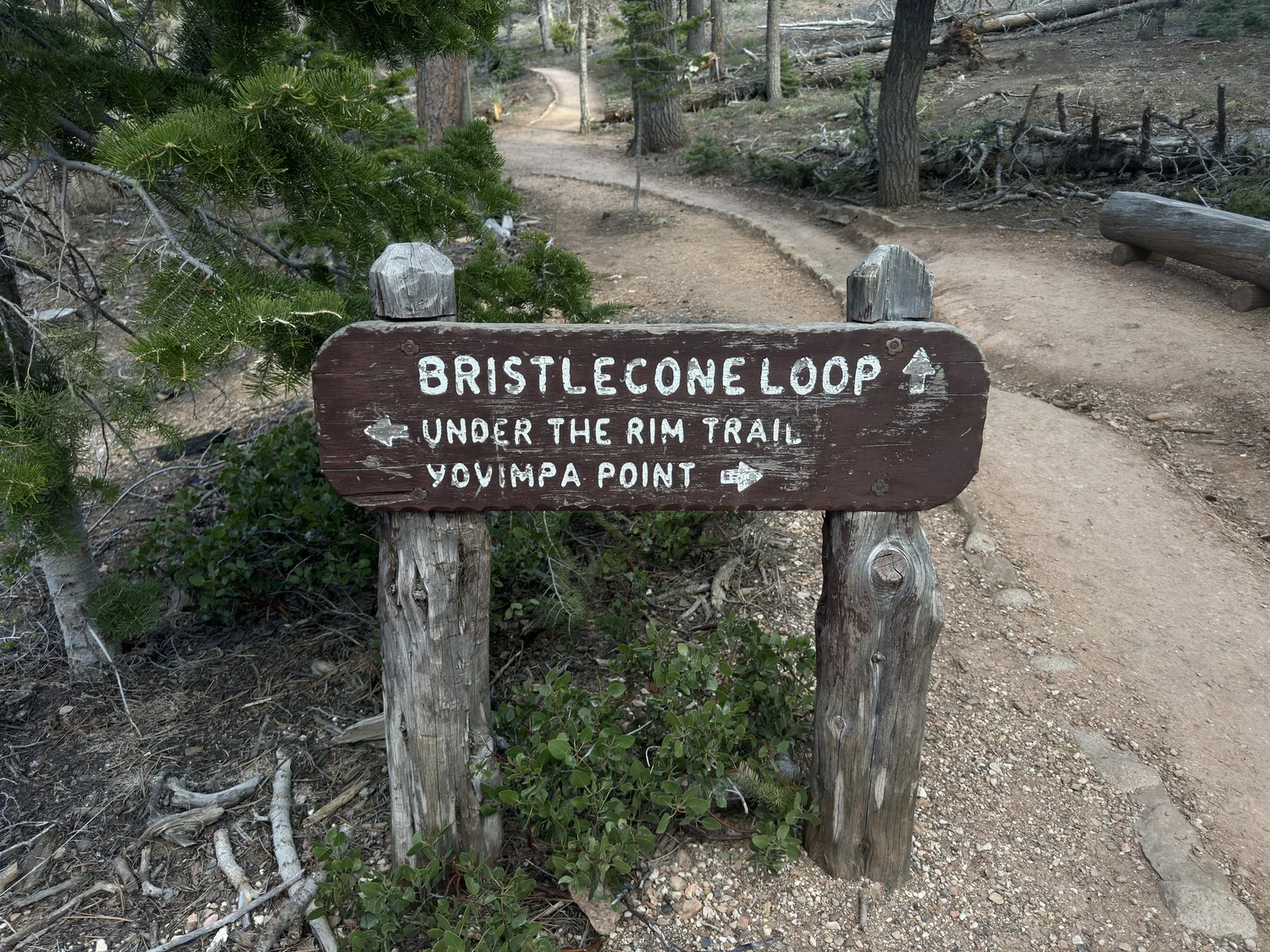 Hiking the Bristlecone Loop Trail in Bryce Canyon National Park — noahawaii