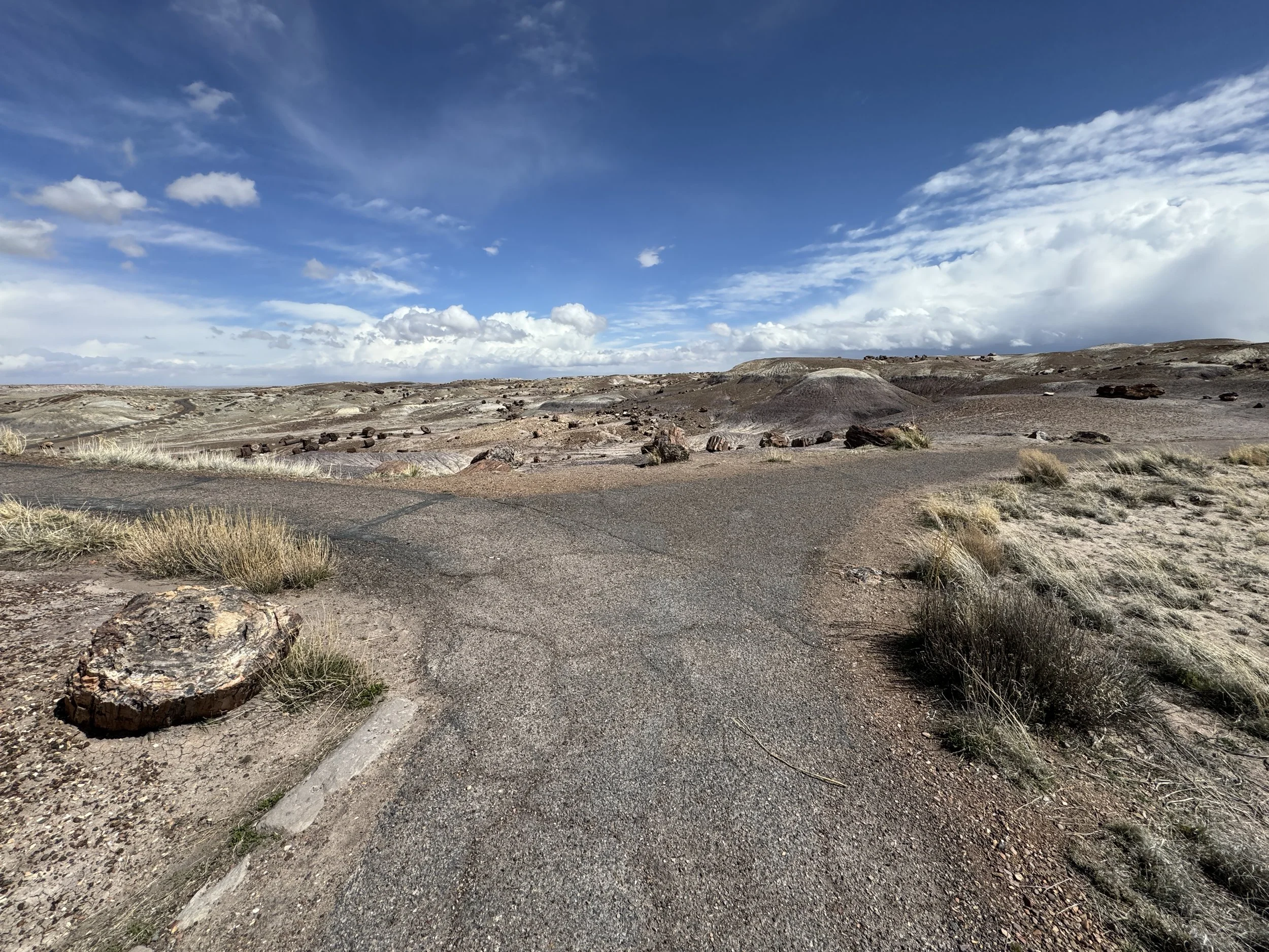 Hiking the Crystal Forest Trail in Petrified Forest National Park ...