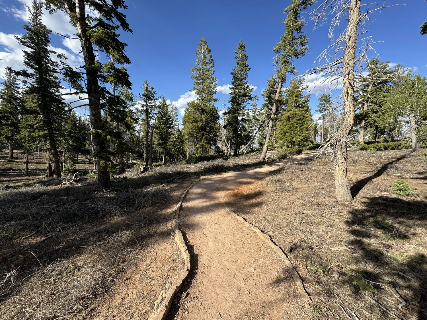 Hiking the Bristlecone Loop Trail in Bryce Canyon National Park — noahawaii