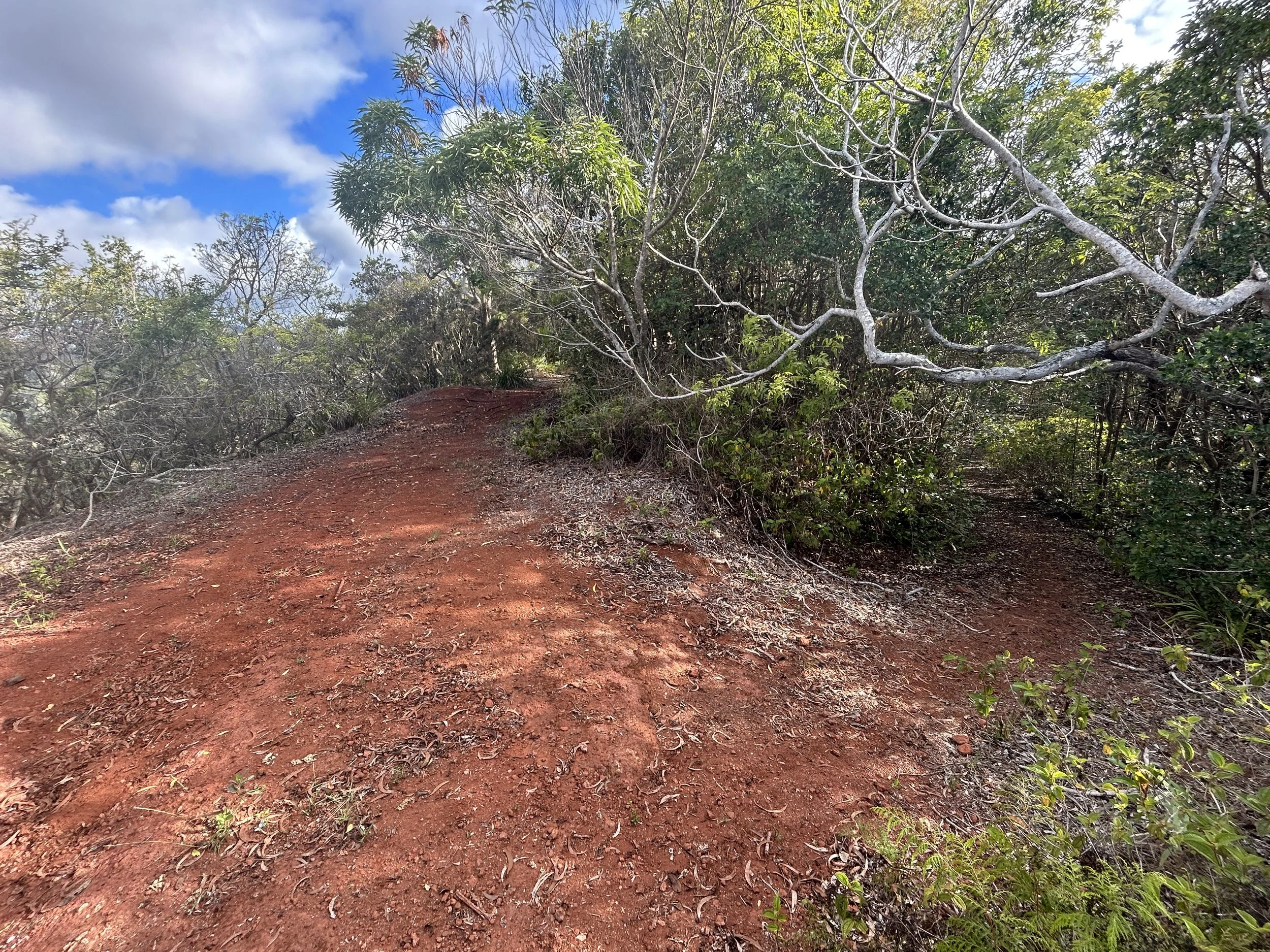 Hiking Oʻahu's Waiʻanae Summit Trail (WST) West to East — noahawaii