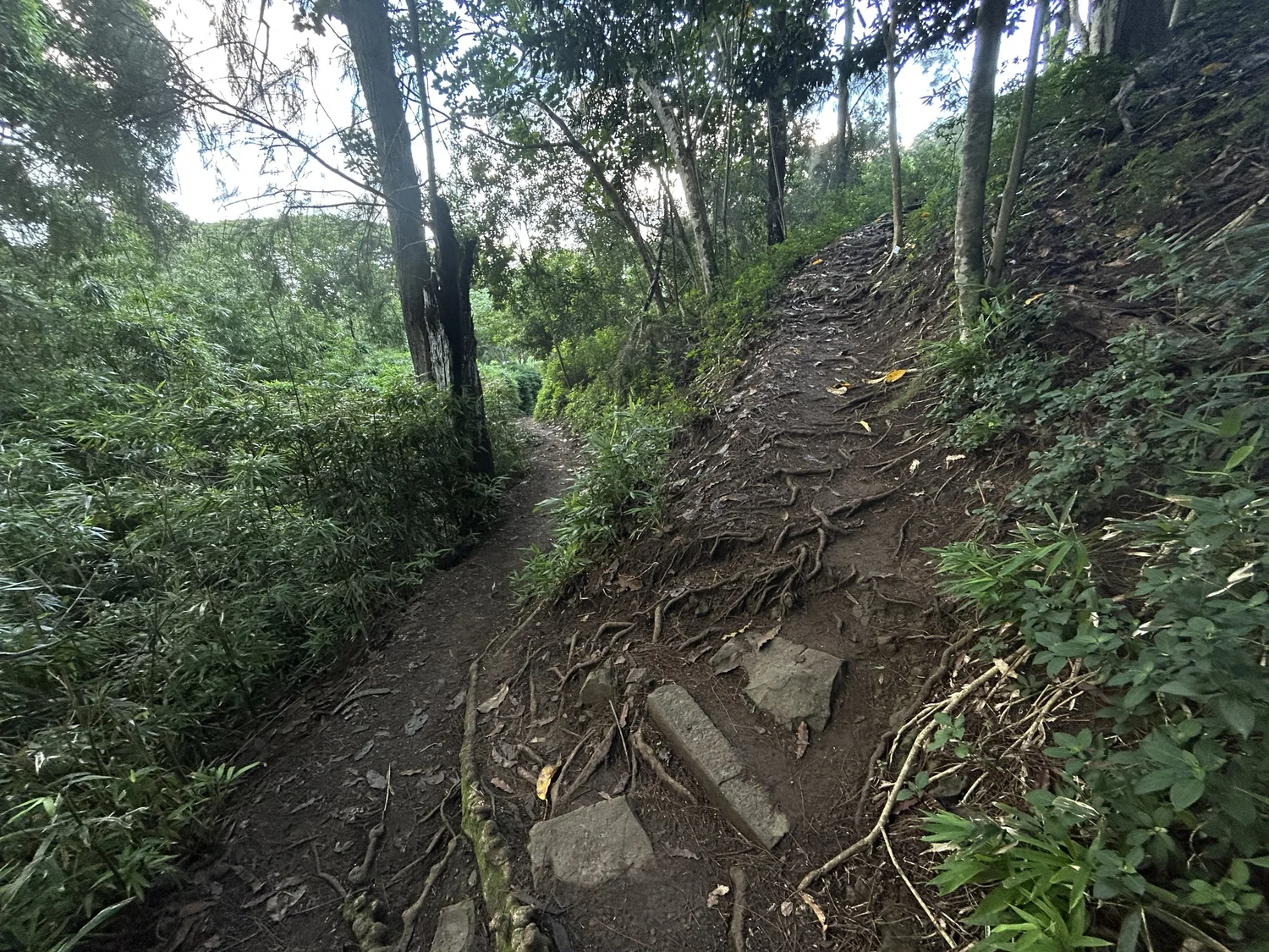 Hiking the Oneʻawa Hills Trail (Kapaʻa Quarry) via the Friendship ...