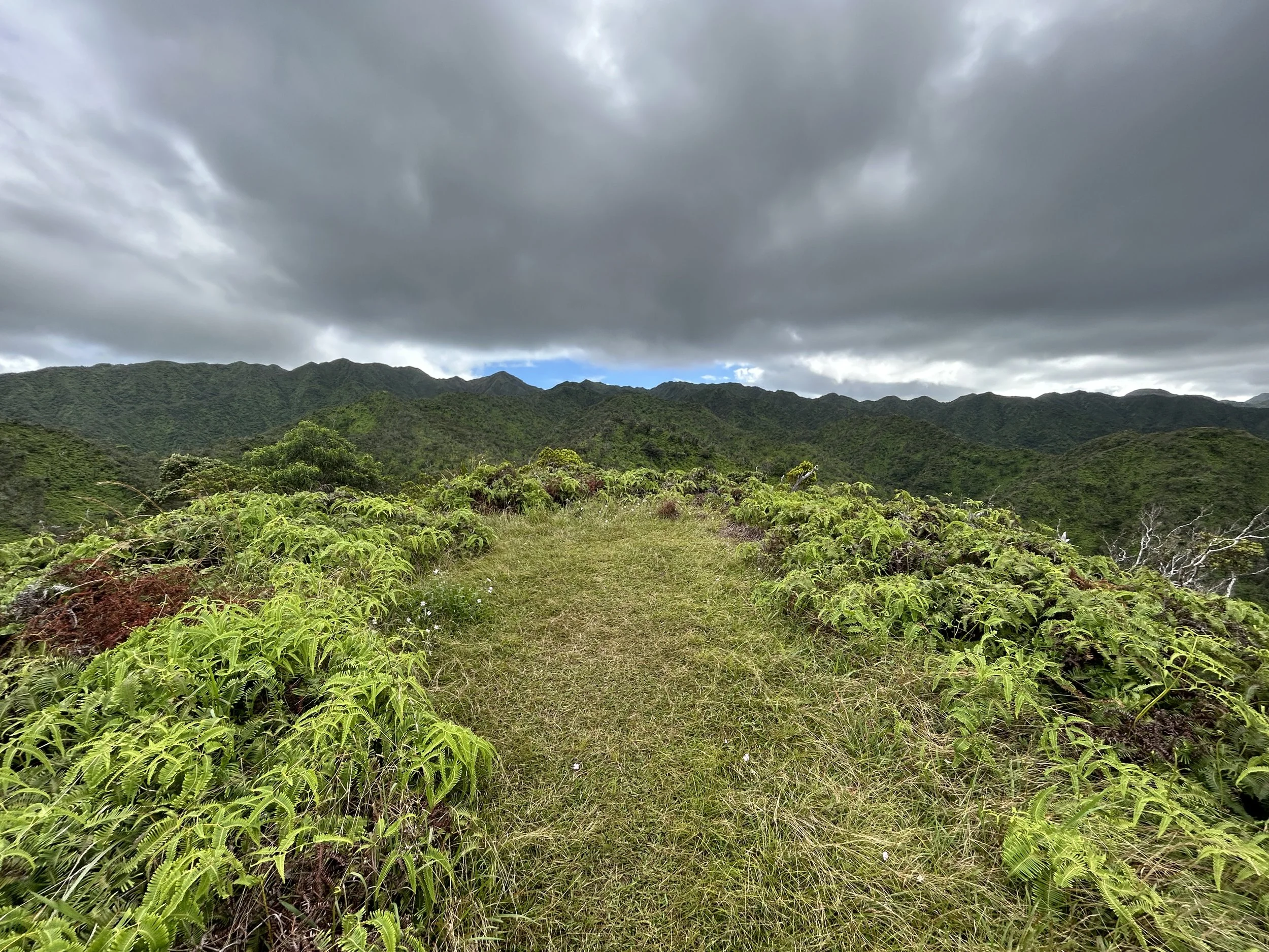 Hiking the Mānana Ridge Trail on Oʻahu — noahawaii