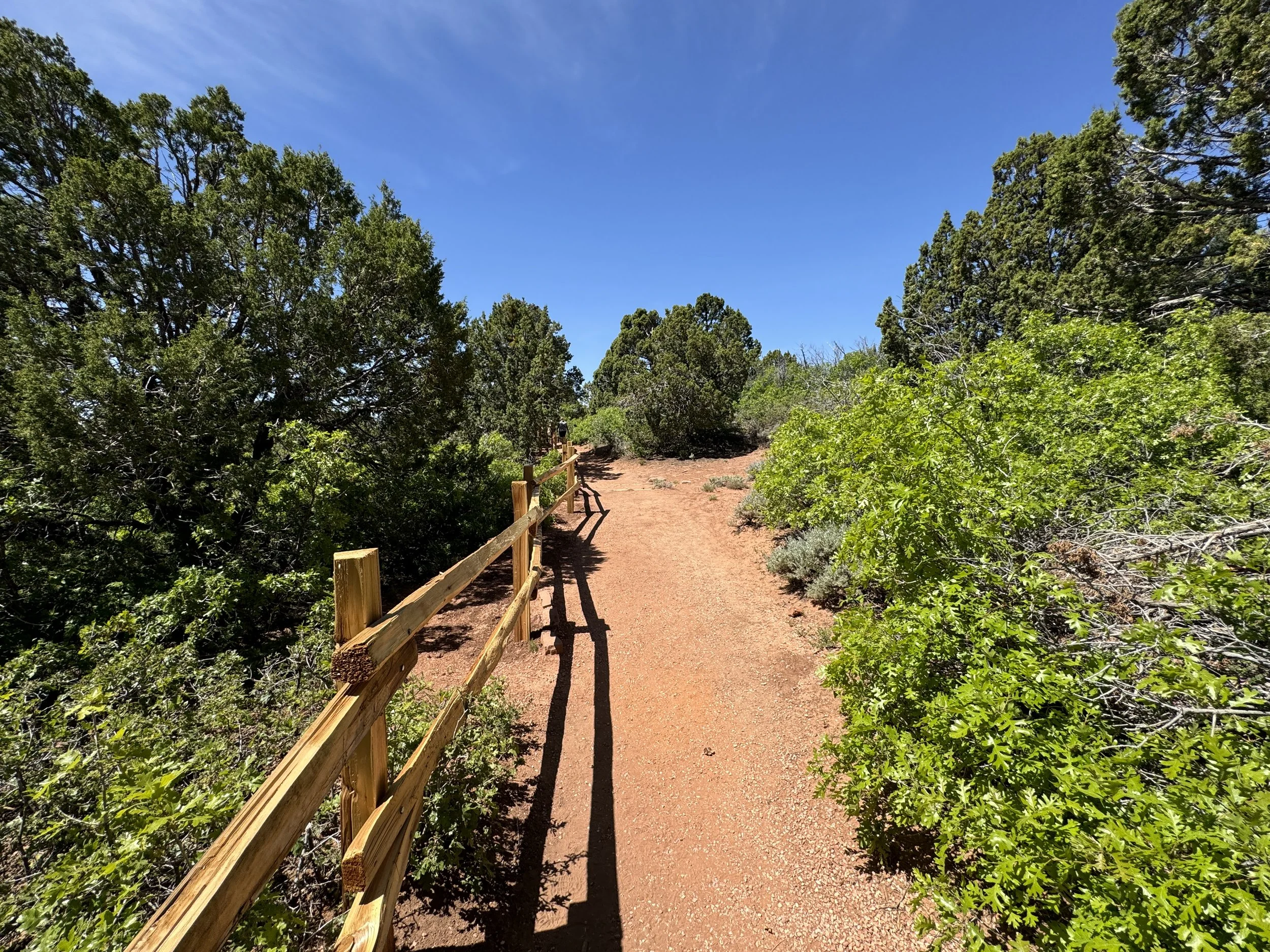 Hiking the Timber Creek Overlook Trail in Zion National Park — noahawaii