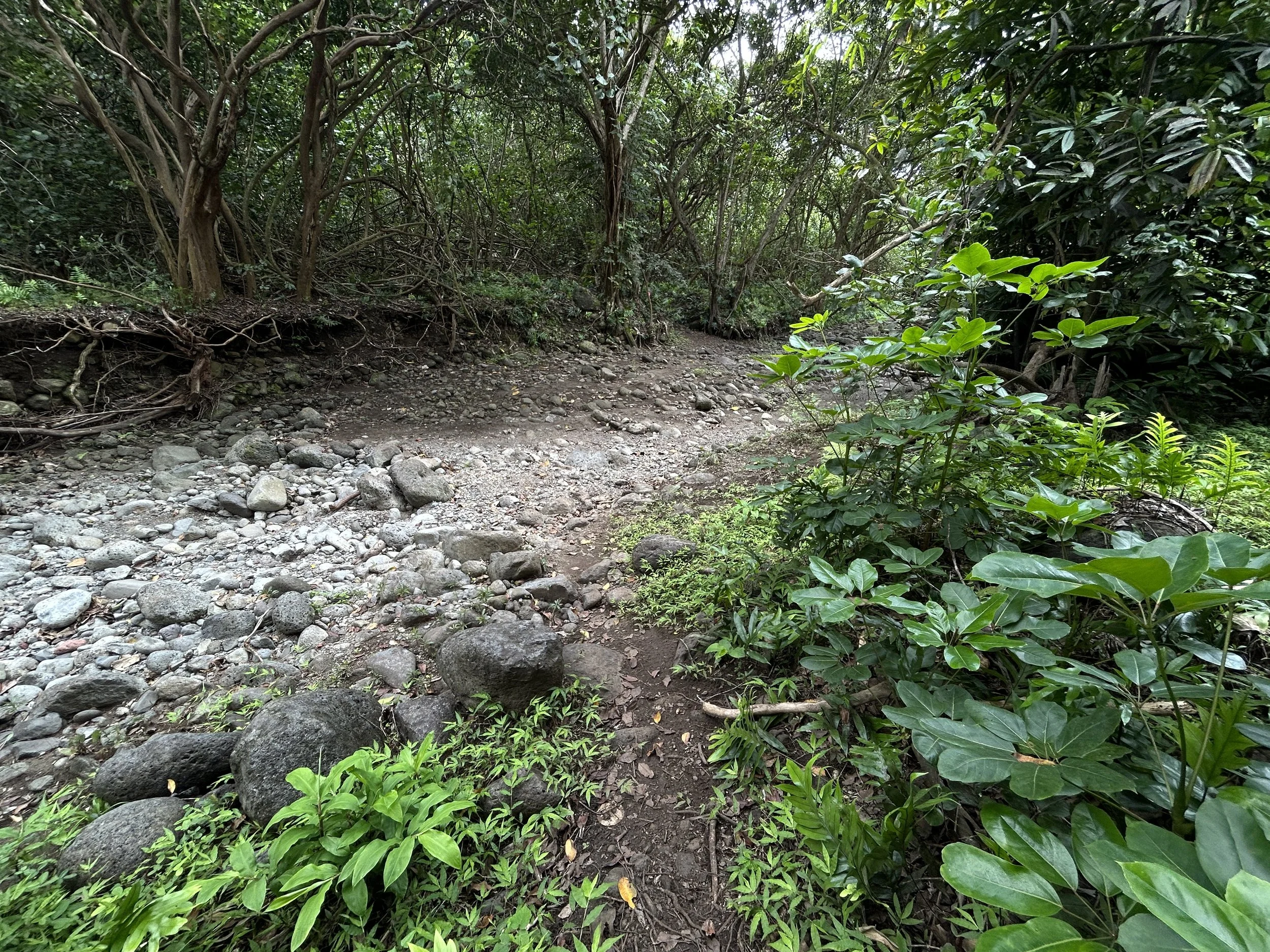 Hiking the Castle Trail on Oʻahu, Hawaiʻi — noahawaii
