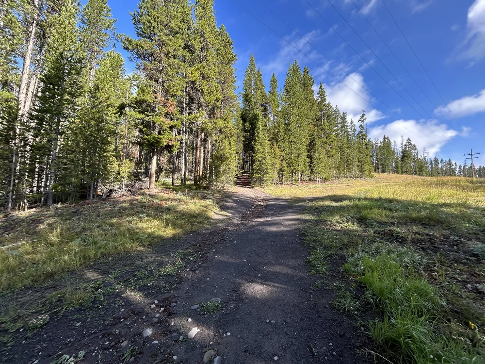Hiking the Elephant Back Mountain Trail in Yellowstone National Park ...