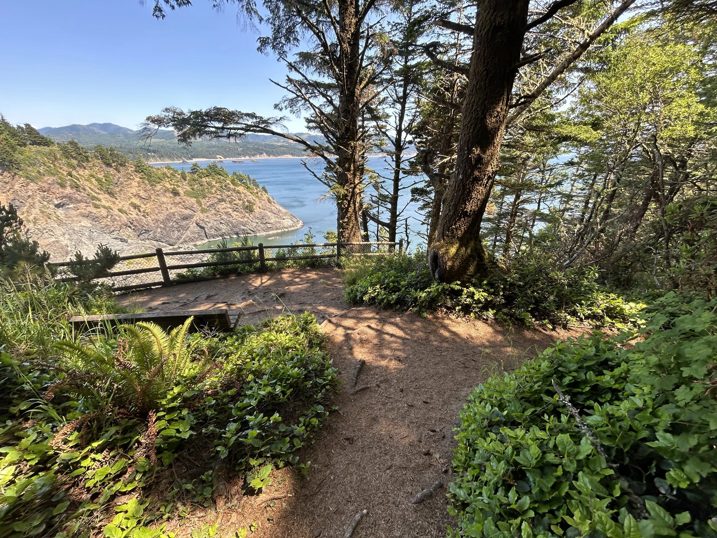 Hiking the Port Orford Heads Trail on the Oregon Coast — noahawaii