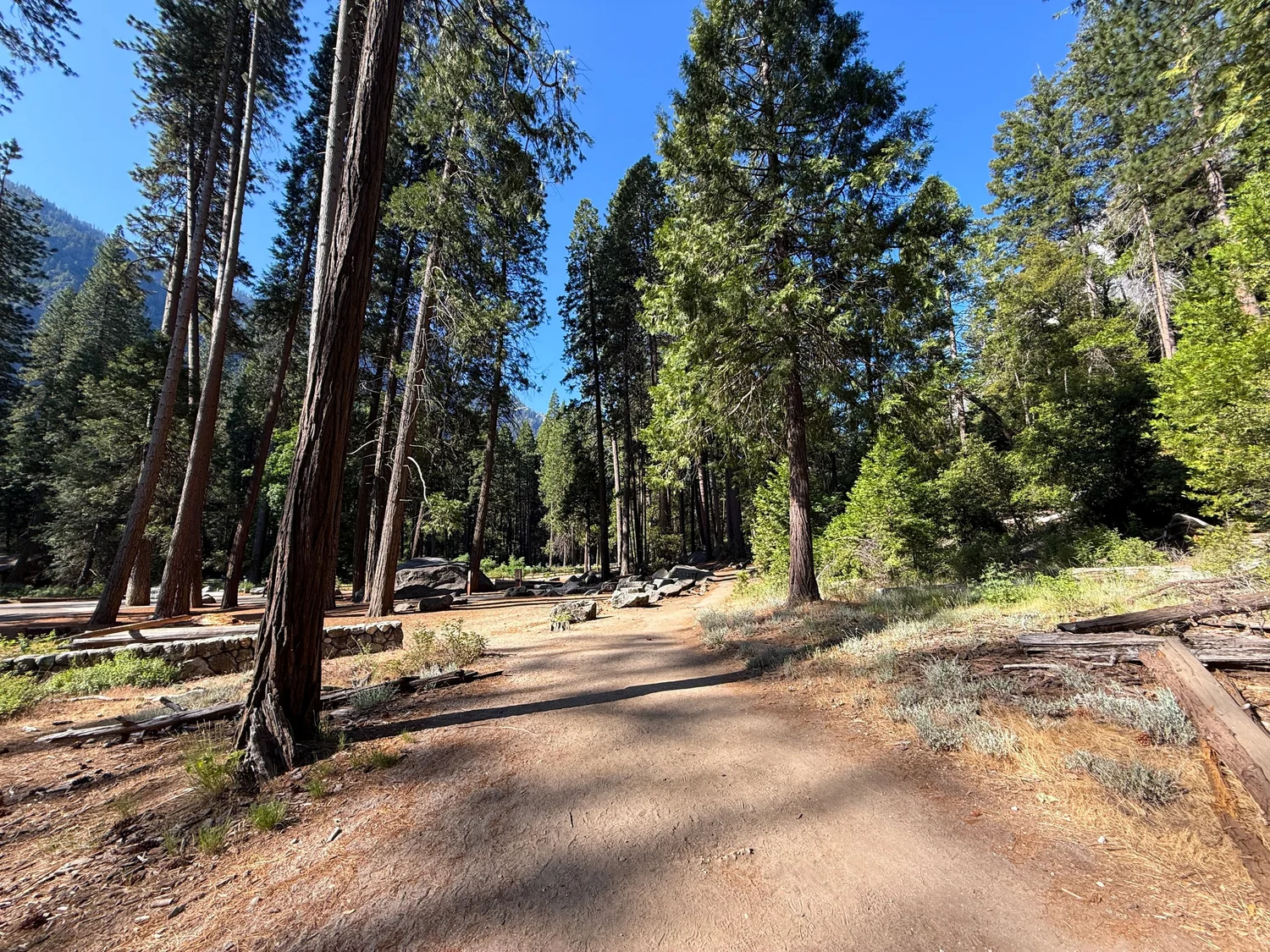 Hiking the Yosemite Valley Loop Trail in Yosemite National Park — noahawaii