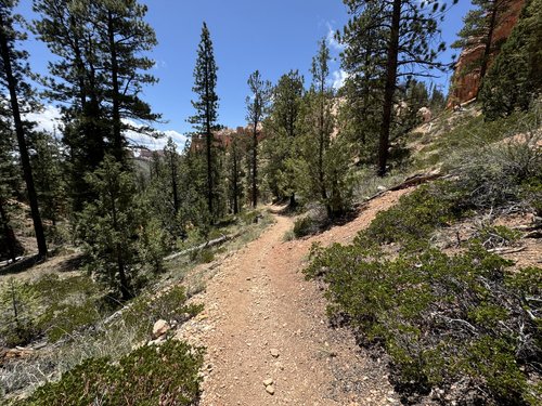 Hiking the Swamp Canyon Loop Trail in Bryce Canyon National Park ...