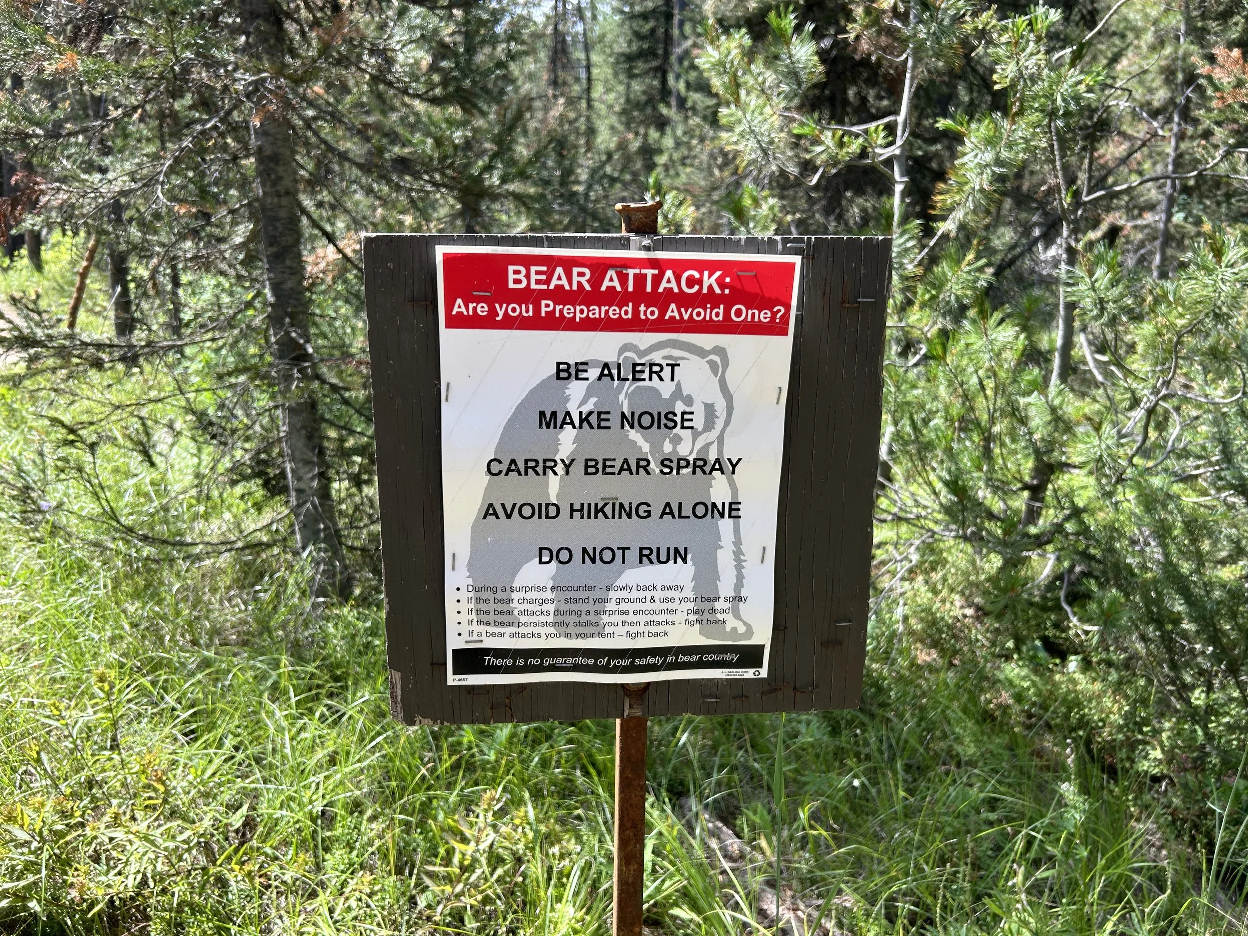 Hiking the Delta Lake Trail via Lupine Meadows in Grand Teton National Park — noahawaii
