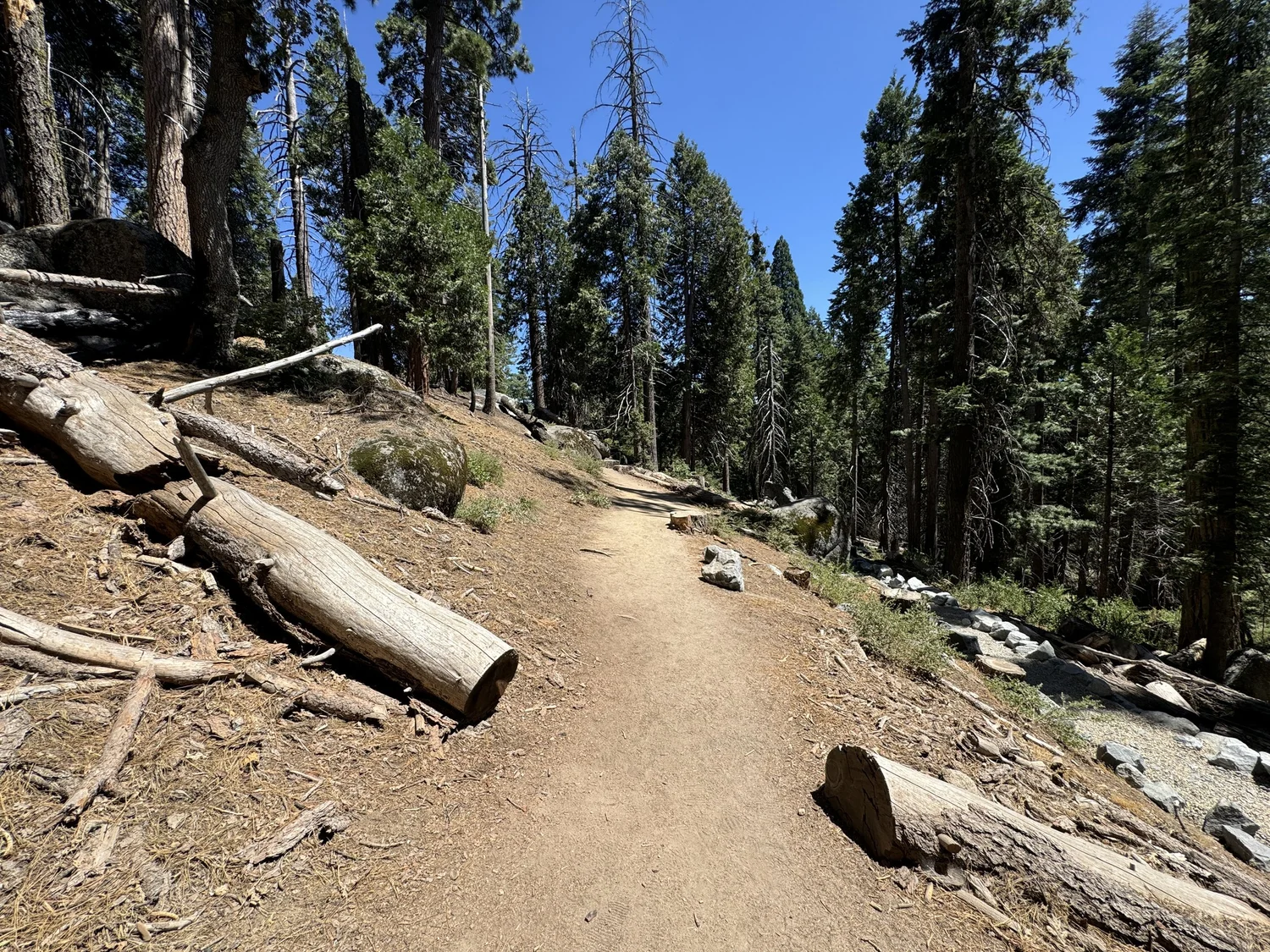 Hiking the Big Stump Loop Trail in Kings Canyon National Park — noahawaii