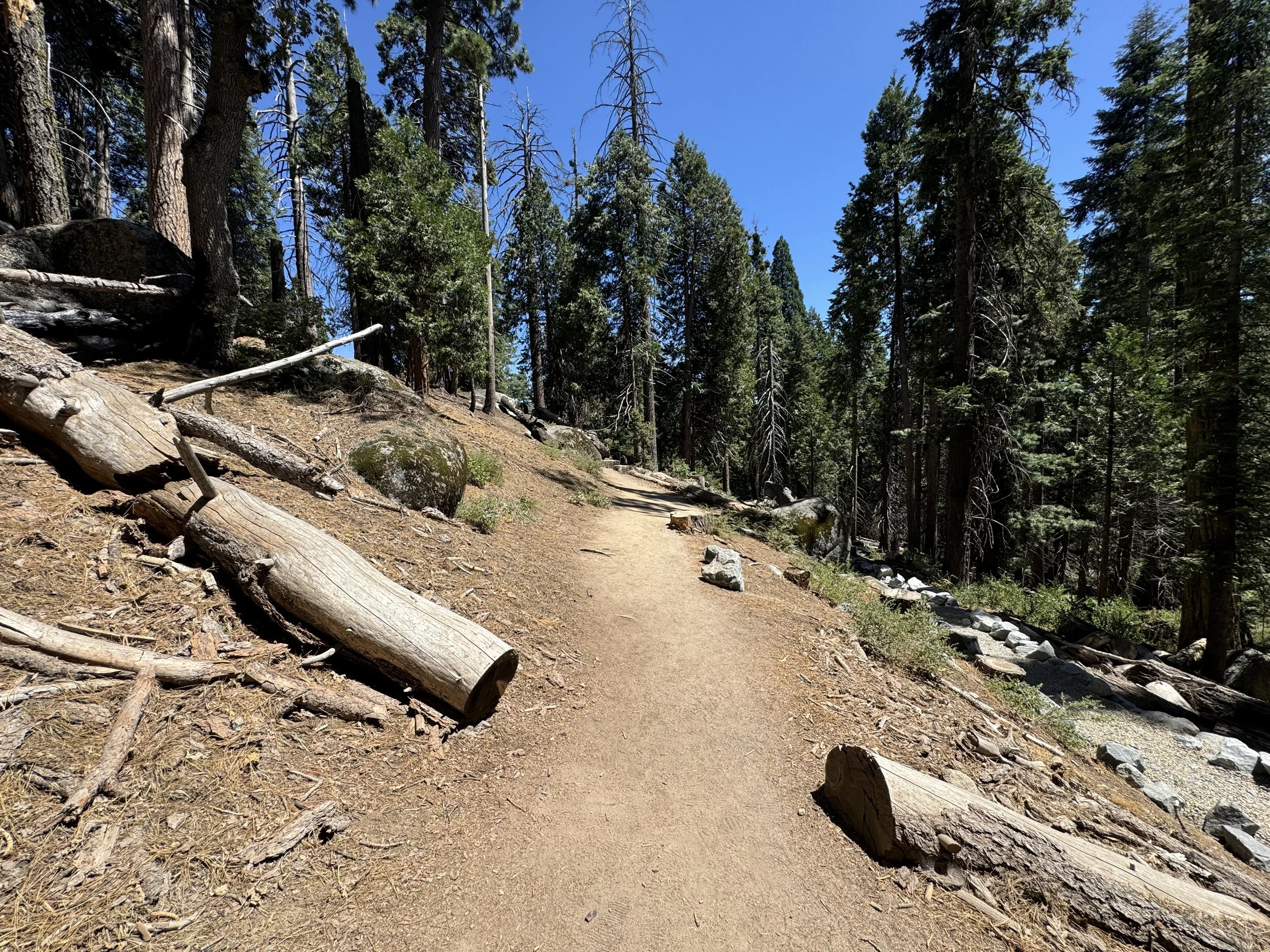 Hiking the Big Stump Loop Trail in Kings Canyon National Park — noahawaii