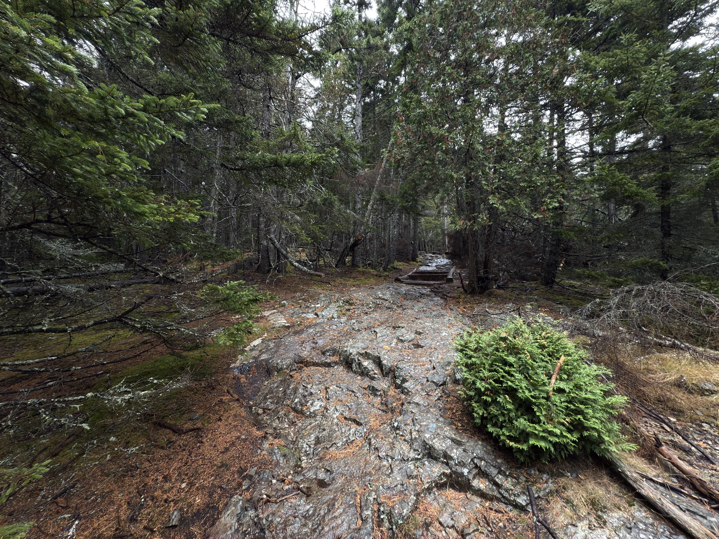 Hiking the Flying Mountain Trail in Acadia National Park — noahawaii