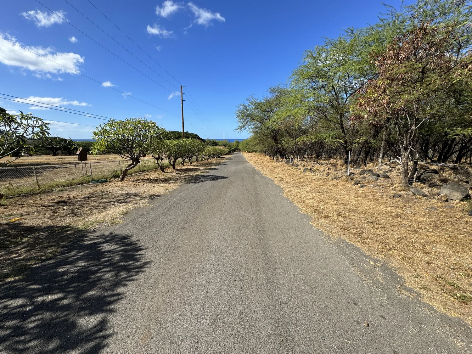 Hiking the Keaʻau Middle Ridge Trail on Oʻahu, Hawaiʻi — noahawaii