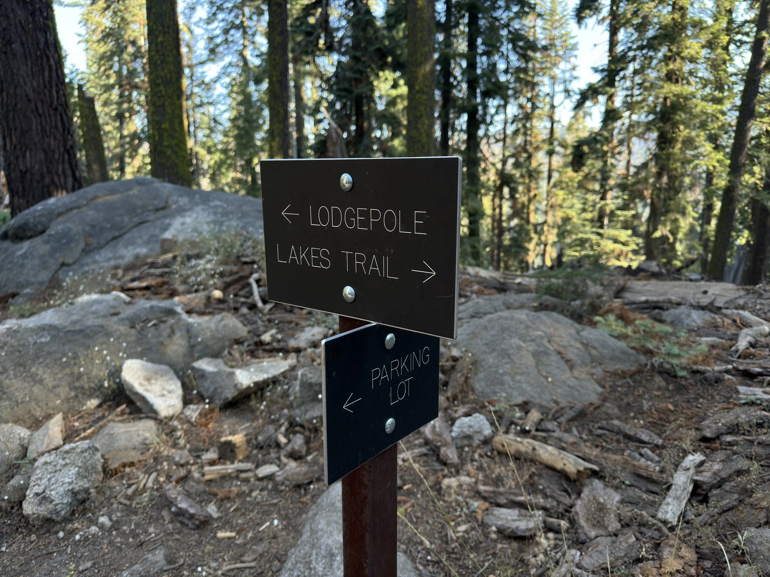 Hiking the Long Meadow Loop Trail in Sequoia National Park — noahawaii