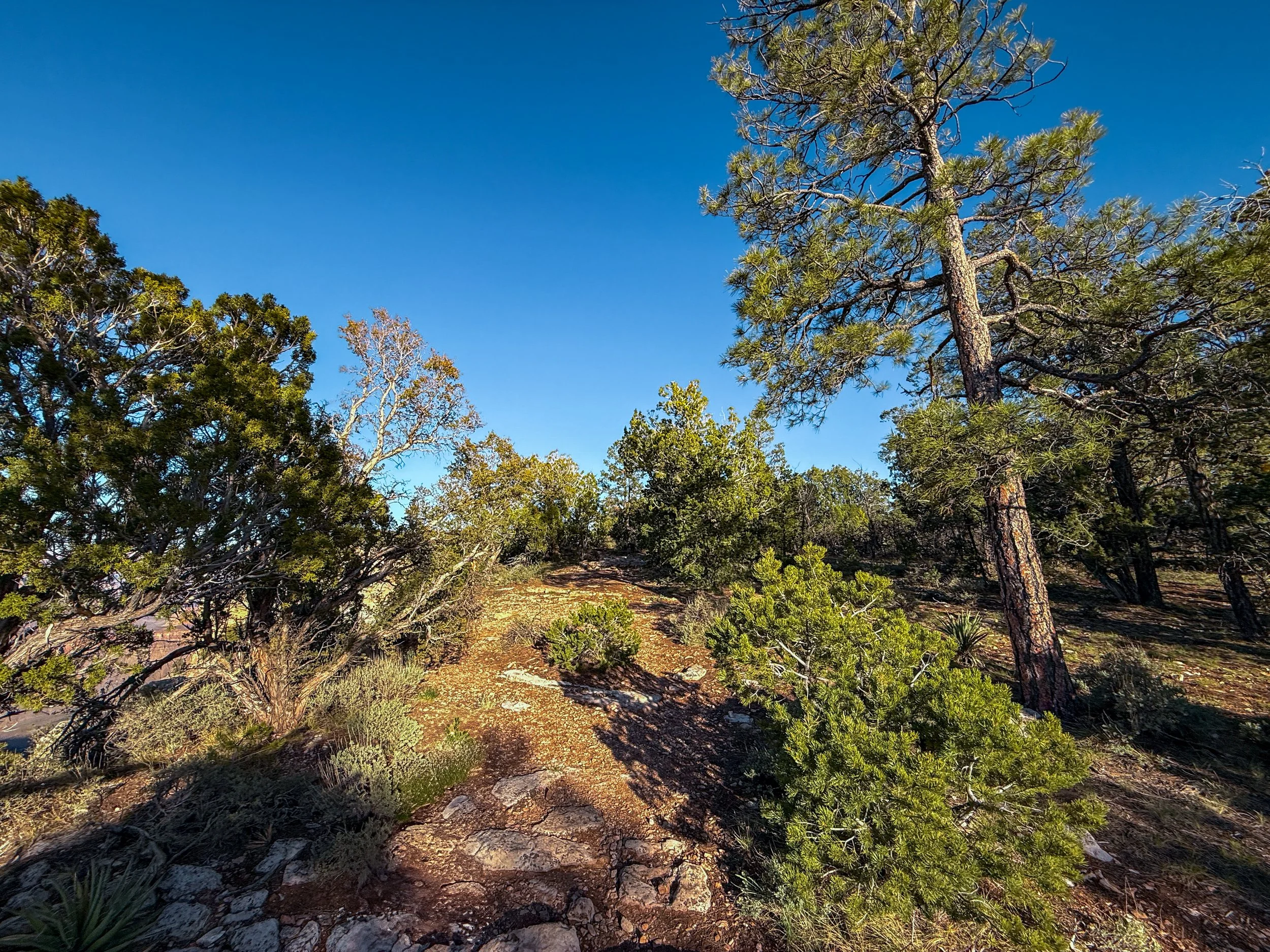Hiking the Duck on a Rock Trail in Grand Canyon National Park — noahawaii