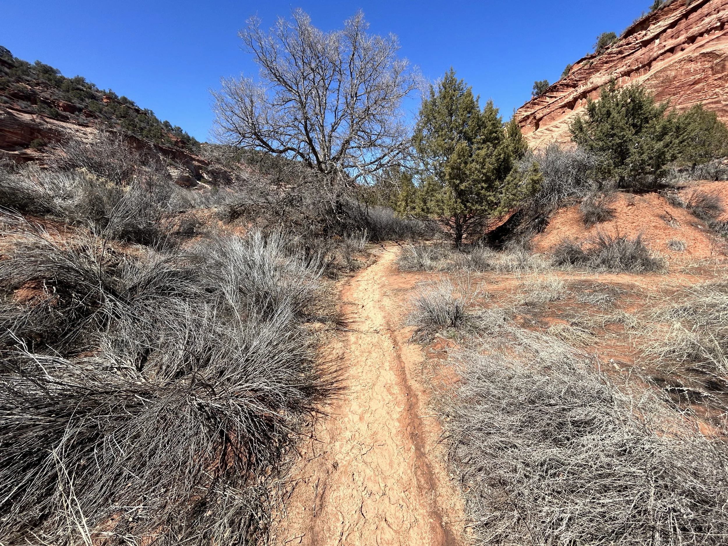 Hiking the Moqui Sand Caves Trail in Kanab, Utah — noahawaii
