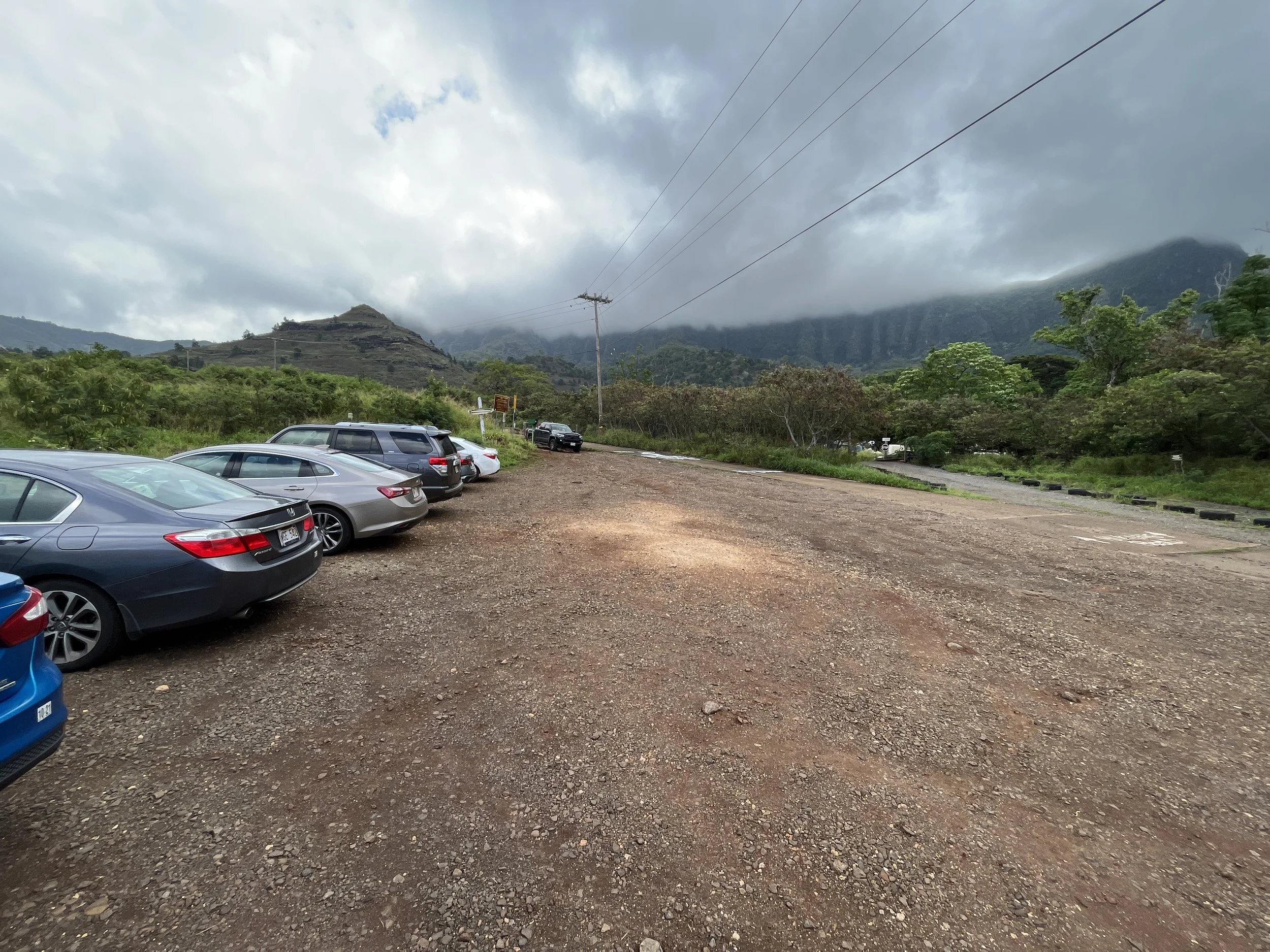 Hiking Mt. Kaʻala: The Tallest Point on Oʻahu — noahawaii