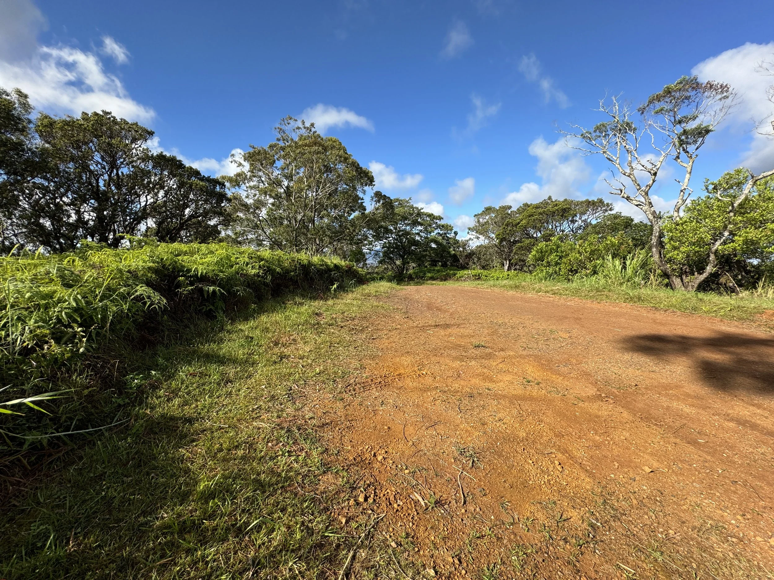 Hiking the Schofield-Waikāne Trail on Oʻahu — noahawaii