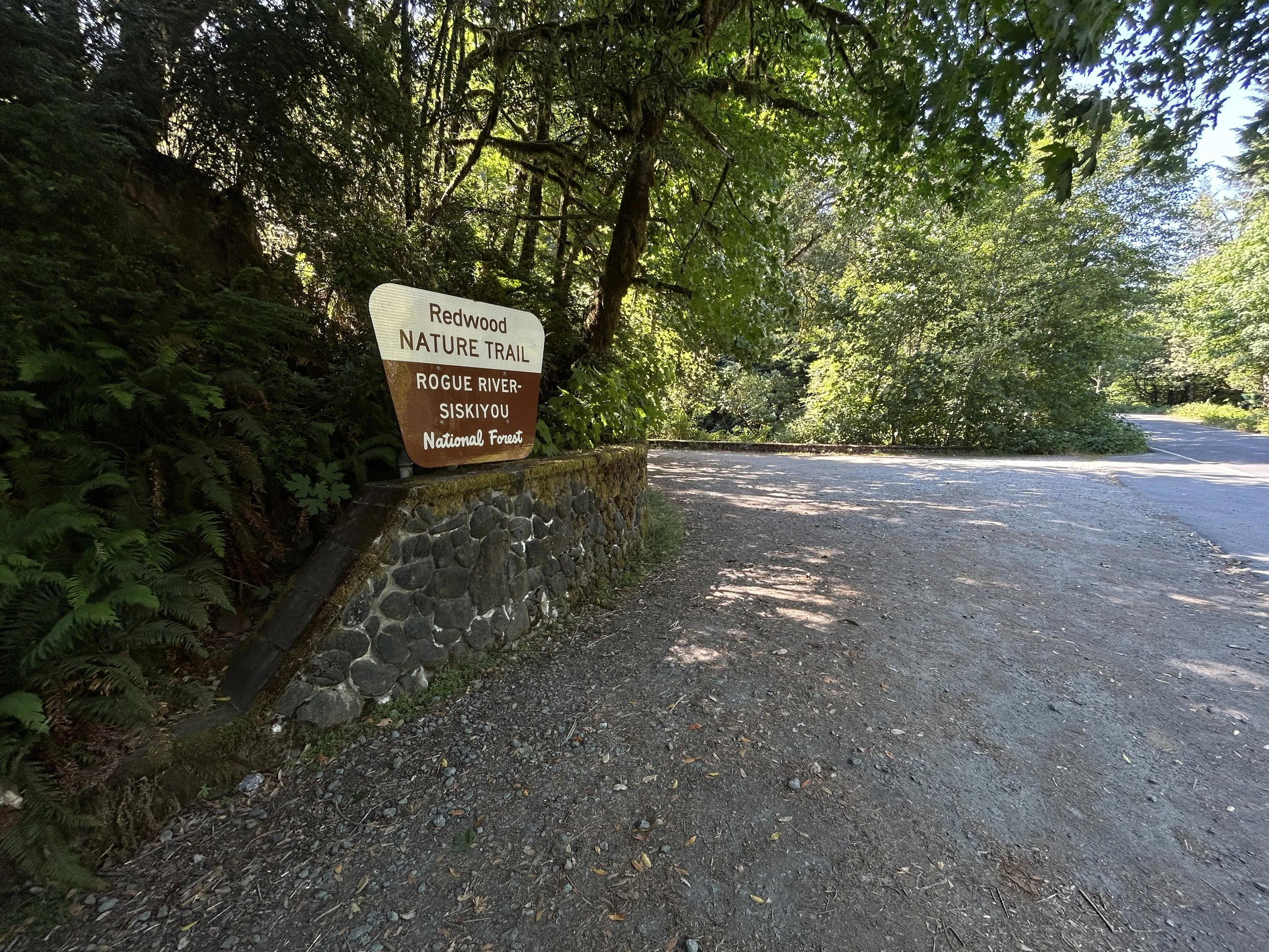 Hiking the Redwood Nature Trail on the Oregon Coast — noahawaii