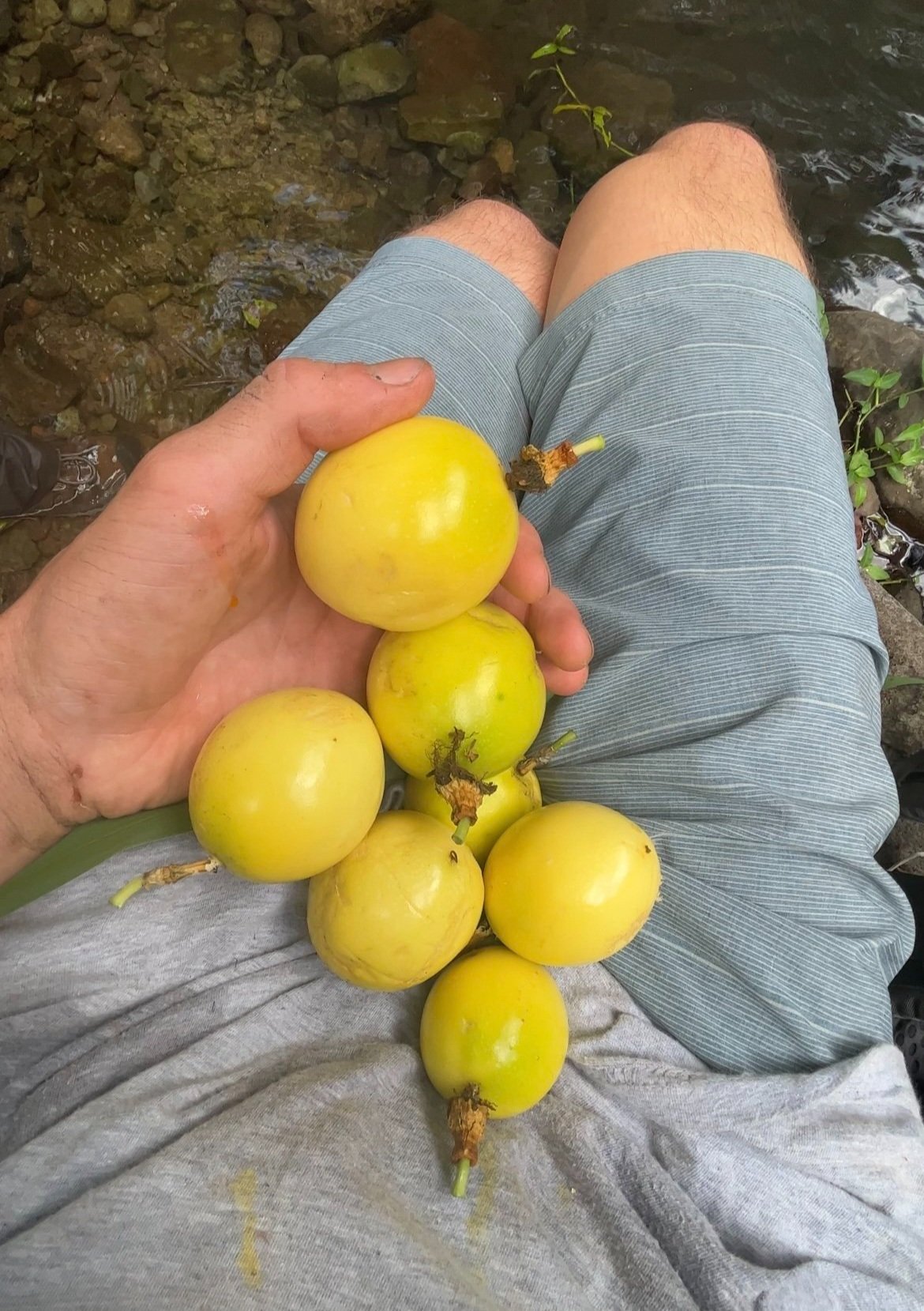 Hiking the Kukui Trail to the Lonomea Shelter on Kauaʻi — noahawaii