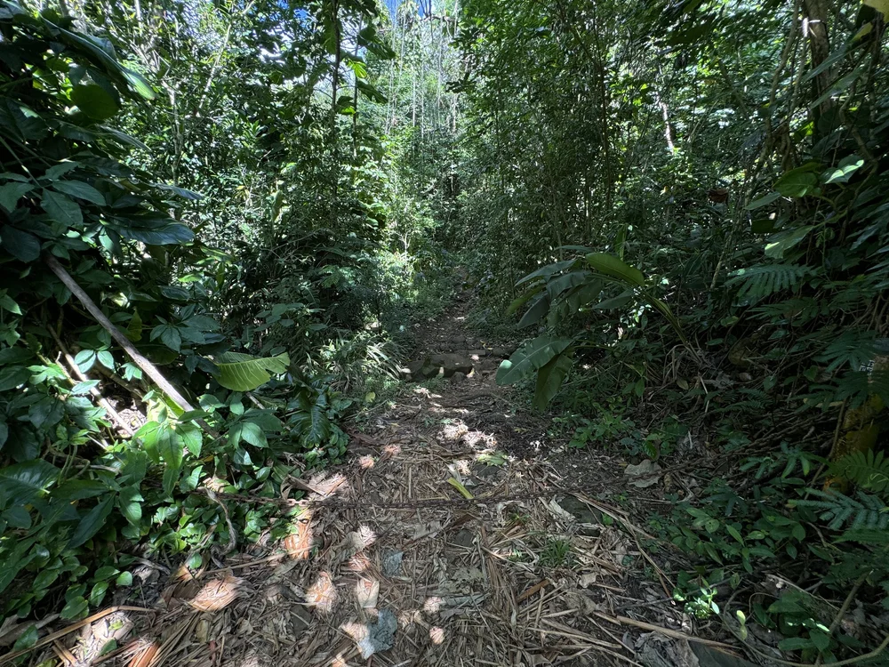 Hiking the Kolowalu Trail to Waʻahila Ridge on Oʻahu, Hawaiʻi — noahawaii