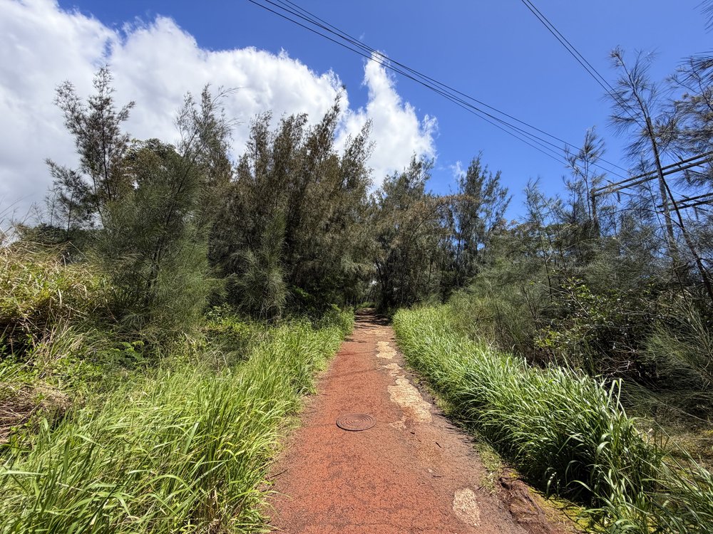 Hiking the Waimano Falls Trail on Oʻahu, Hawaiʻi — noahawaii