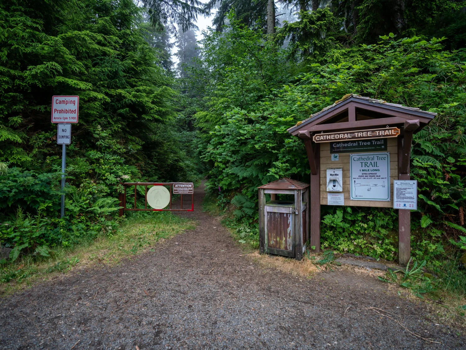 Hiking the Cathedral Tree Trail to the Astoria Column on the Oregon ...