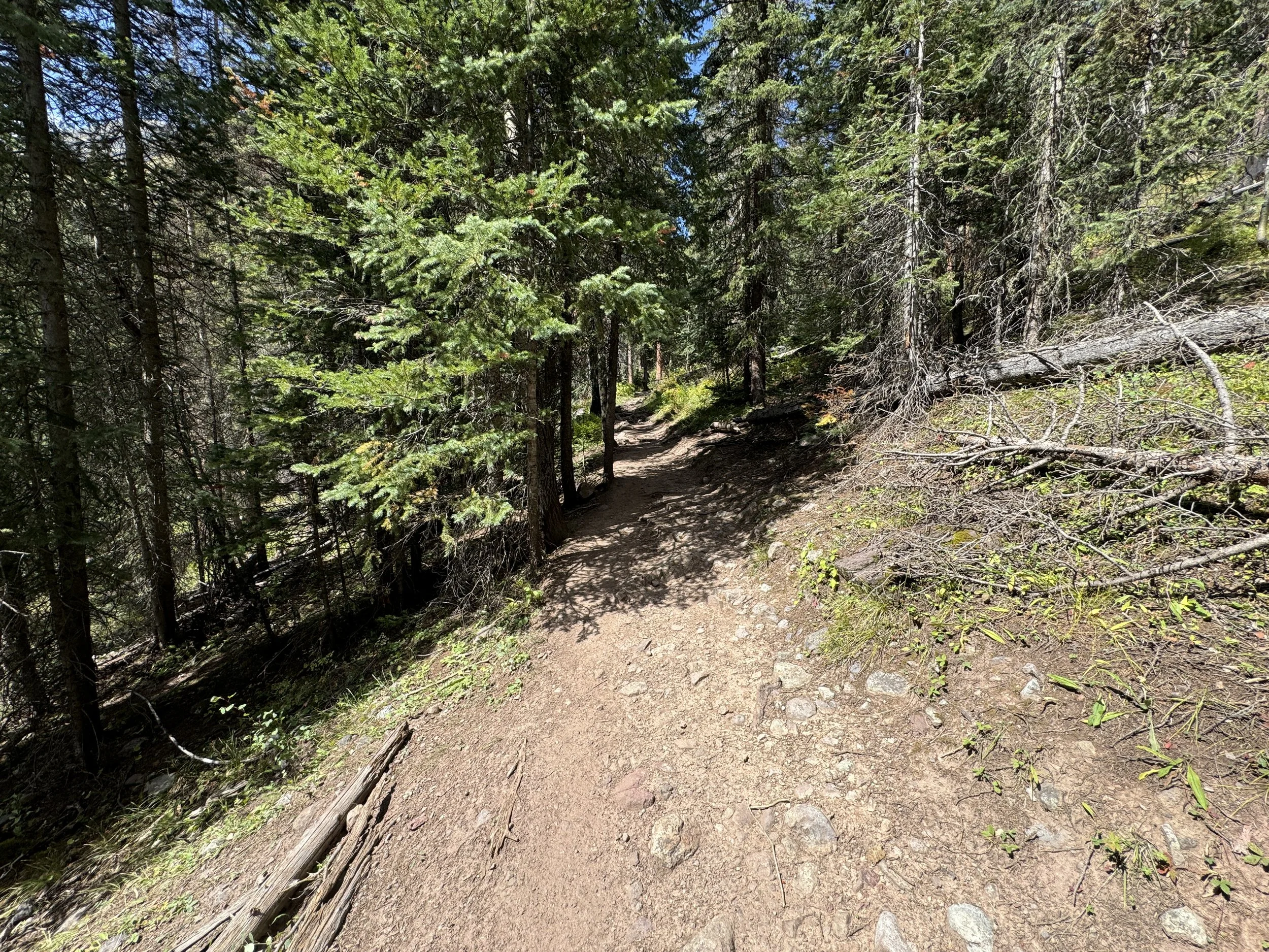 Hiking the Ice & Island Lake Trail in Silverton, Colorado — noahawaii