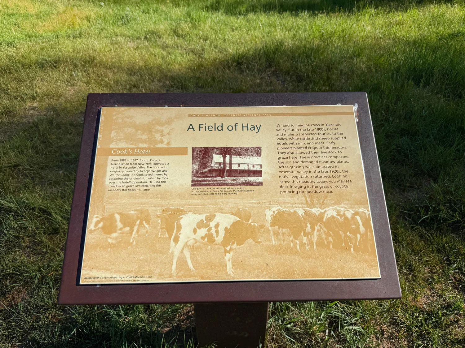 Hiking the Cook’s Meadow Loop Trail in Yosemite National Park — noahawaii