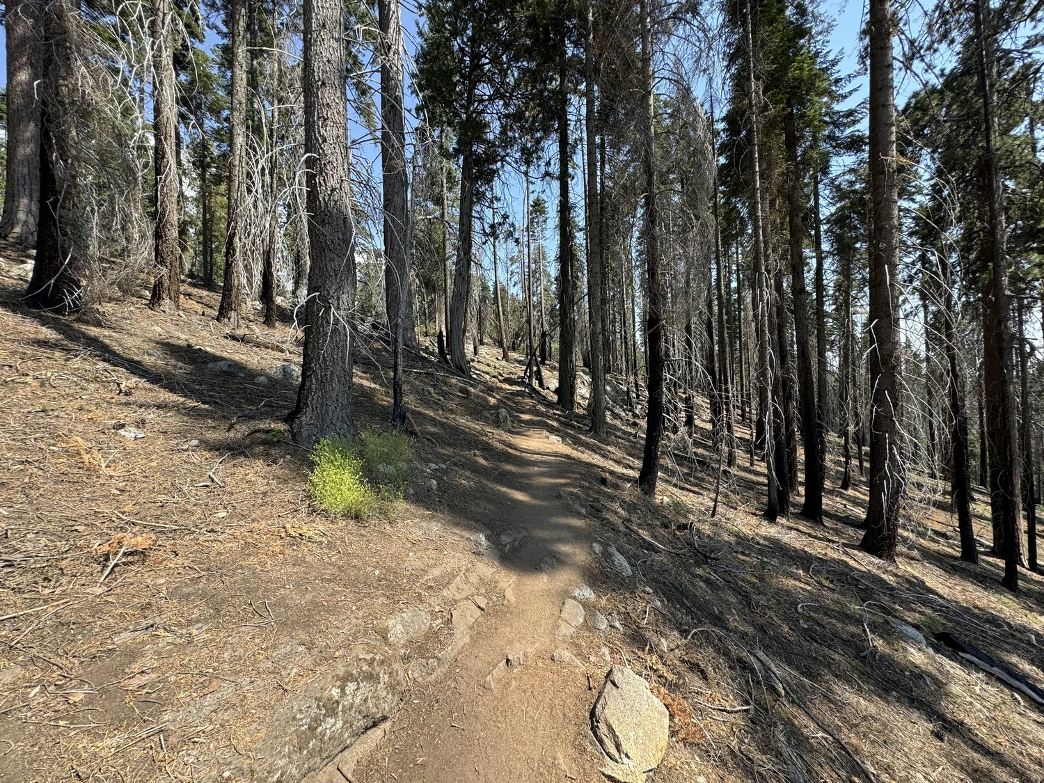 Hiking the Moro Rock Trail in Sequoia National Park — noahawaii