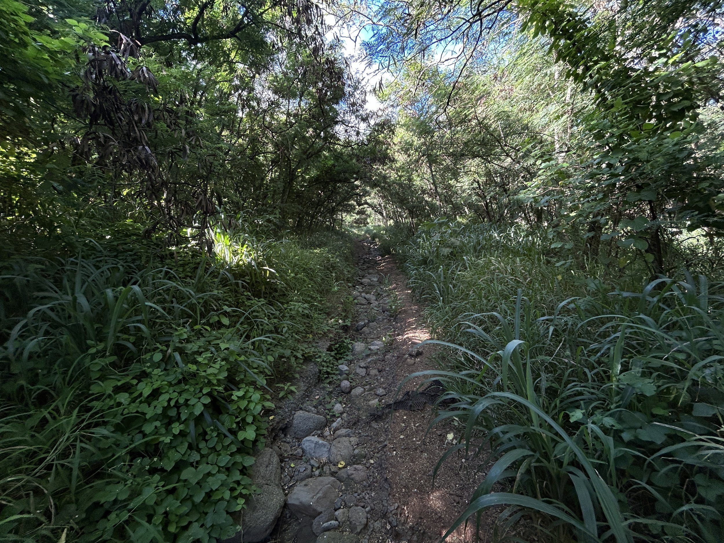 Hiking the Lualualei Lookout Trail on Oʻahu, Hawaiʻi — noahawaii