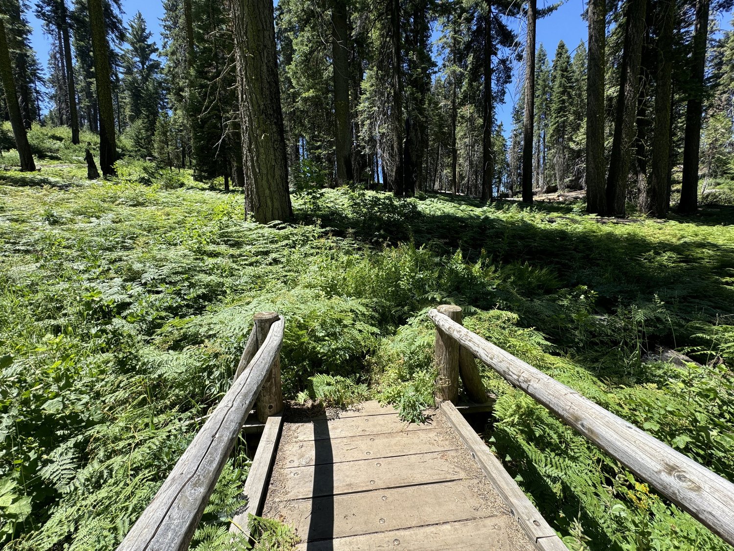Hiking the North Boundary-Lone Pine Loop Trail in Kings Canyon National ...