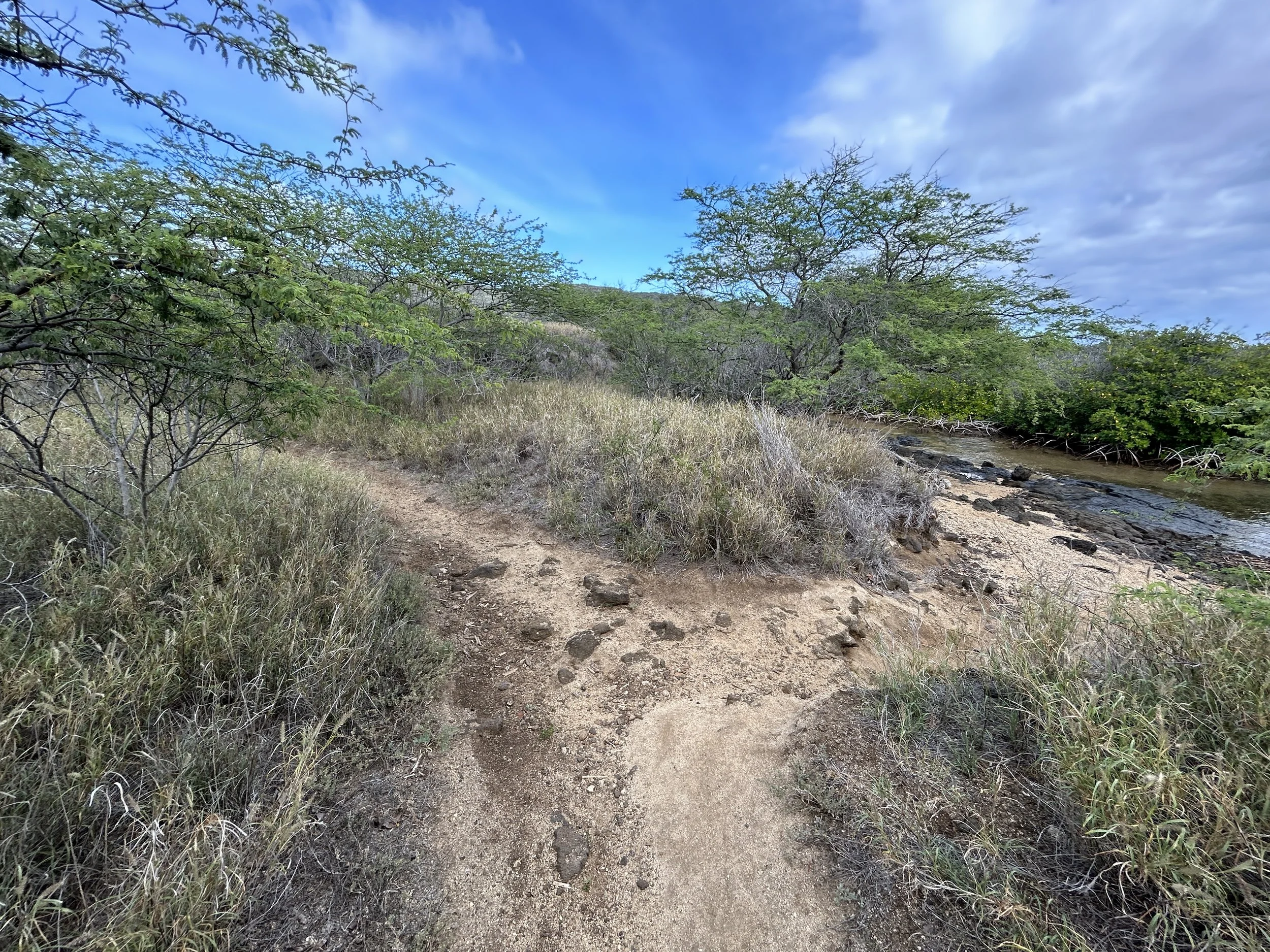 Hiking the Kaiwi Shoreline Trail on Oʻahu — noahawaii