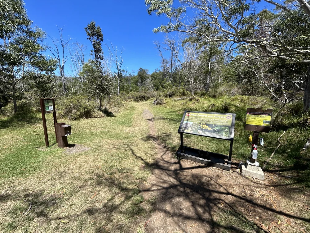 Hiking the Kīpuka Puaulu Trail in Hawaiʻi Volcanoes National Park ...