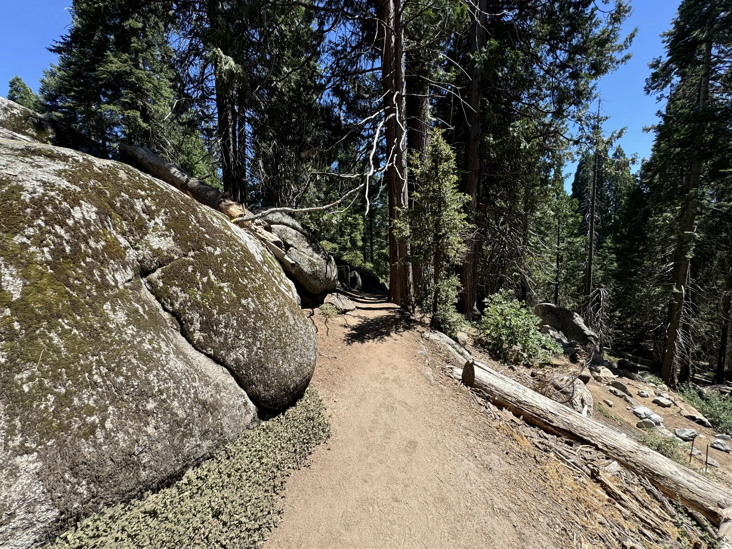 Hiking the Big Stump Loop Trail in Kings Canyon National Park — noahawaii
