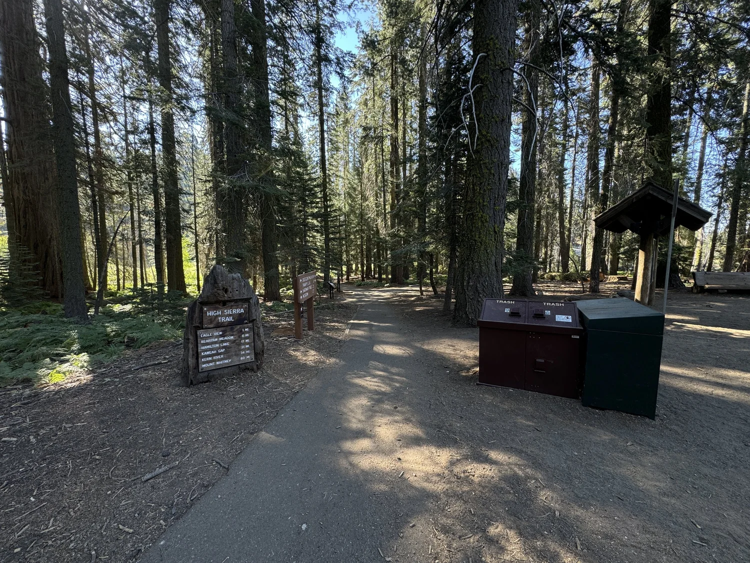 Hiking the Trail of the Sequoias in Sequoia National Park — noahawaii