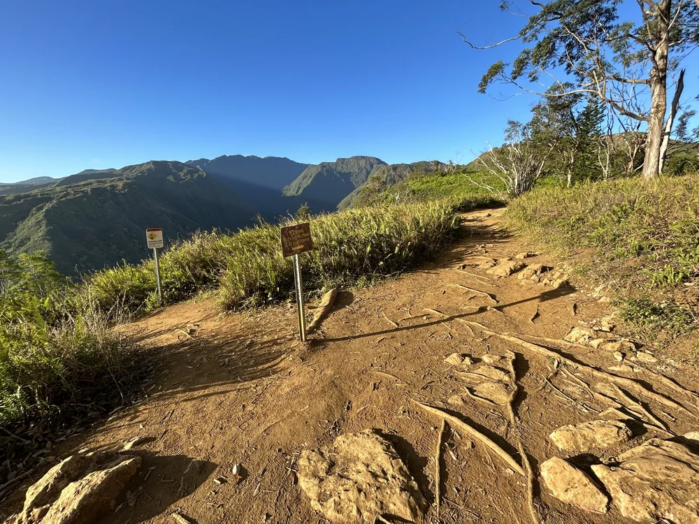 Hiking the Waiheʻe Ridge Trail on Maui, Hawaiʻi — noahawaii