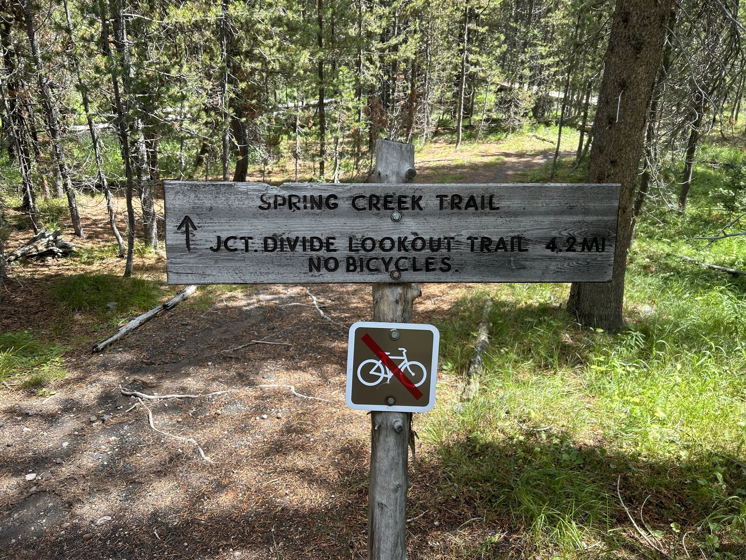Hiking the Lone Star Geyser Trail in Yellowstone National Park — noahawaii