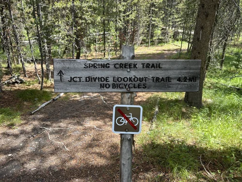Hiking the Lone Star Geyser Trail in Yellowstone National Park — noahawaii