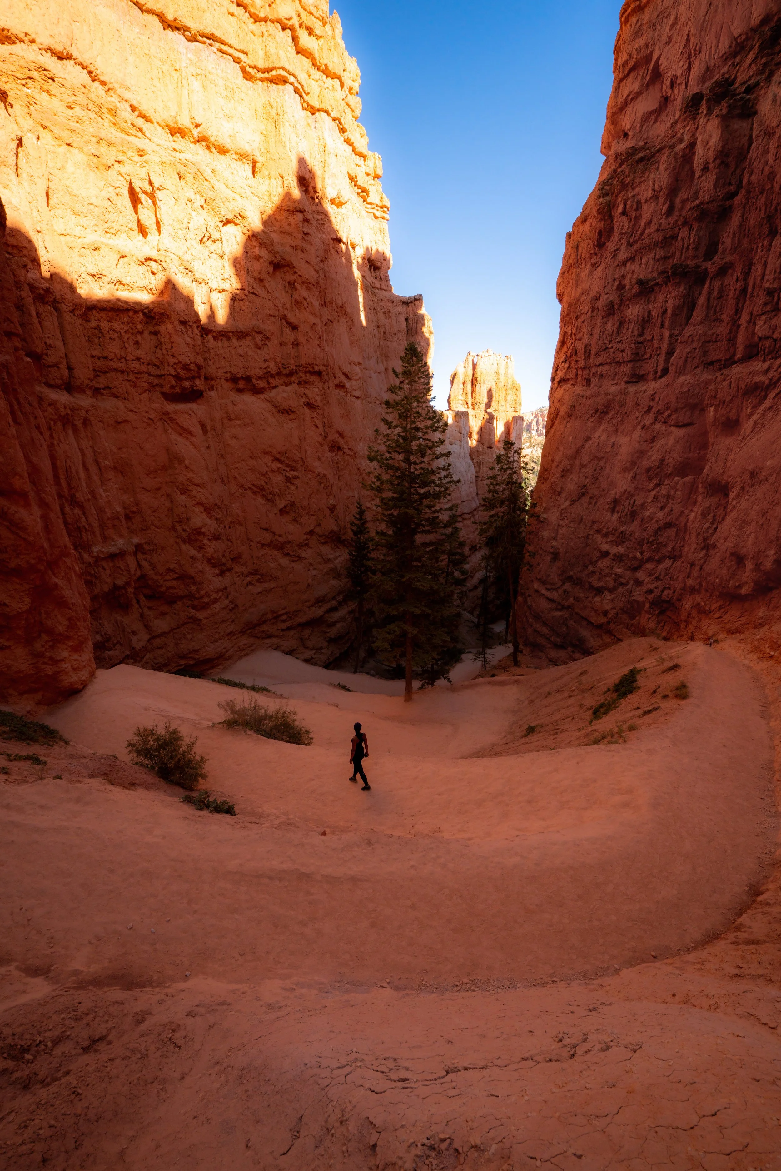 Hiking the Navajo Loop Trail in Bryce Canyon National Park — noahawaii
