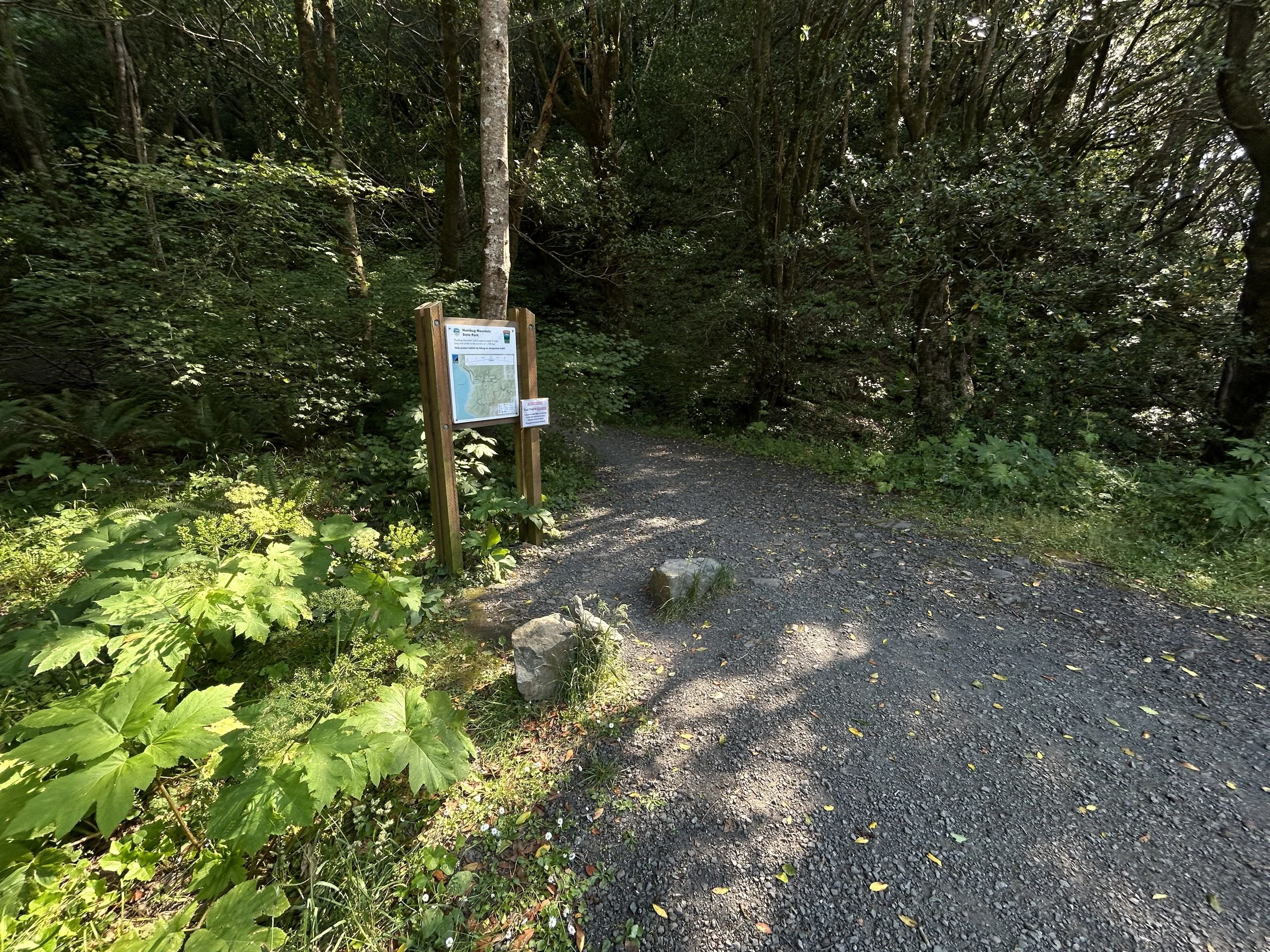 Hiking the Humbug Mountain Loop Trail on the Oregon Coast — noahawaii