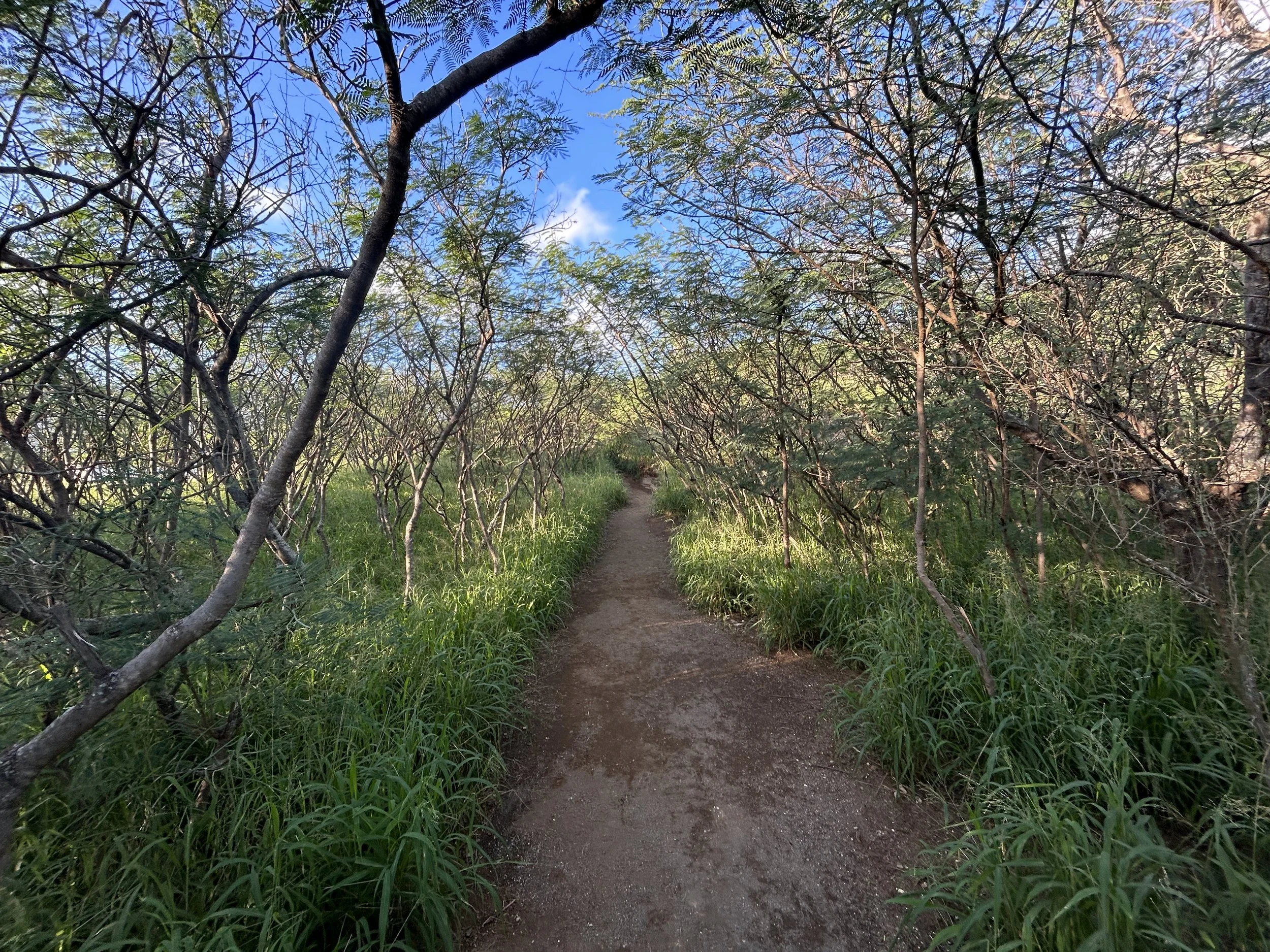 Hiking the Koko Crater Stairs on Oʻahu, Hawaiʻi — noahawaii