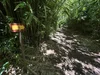 Hiking the Judd Trail & Jackass Ginger Pool on Oʻahu, Hawaiʻi — noahawaii